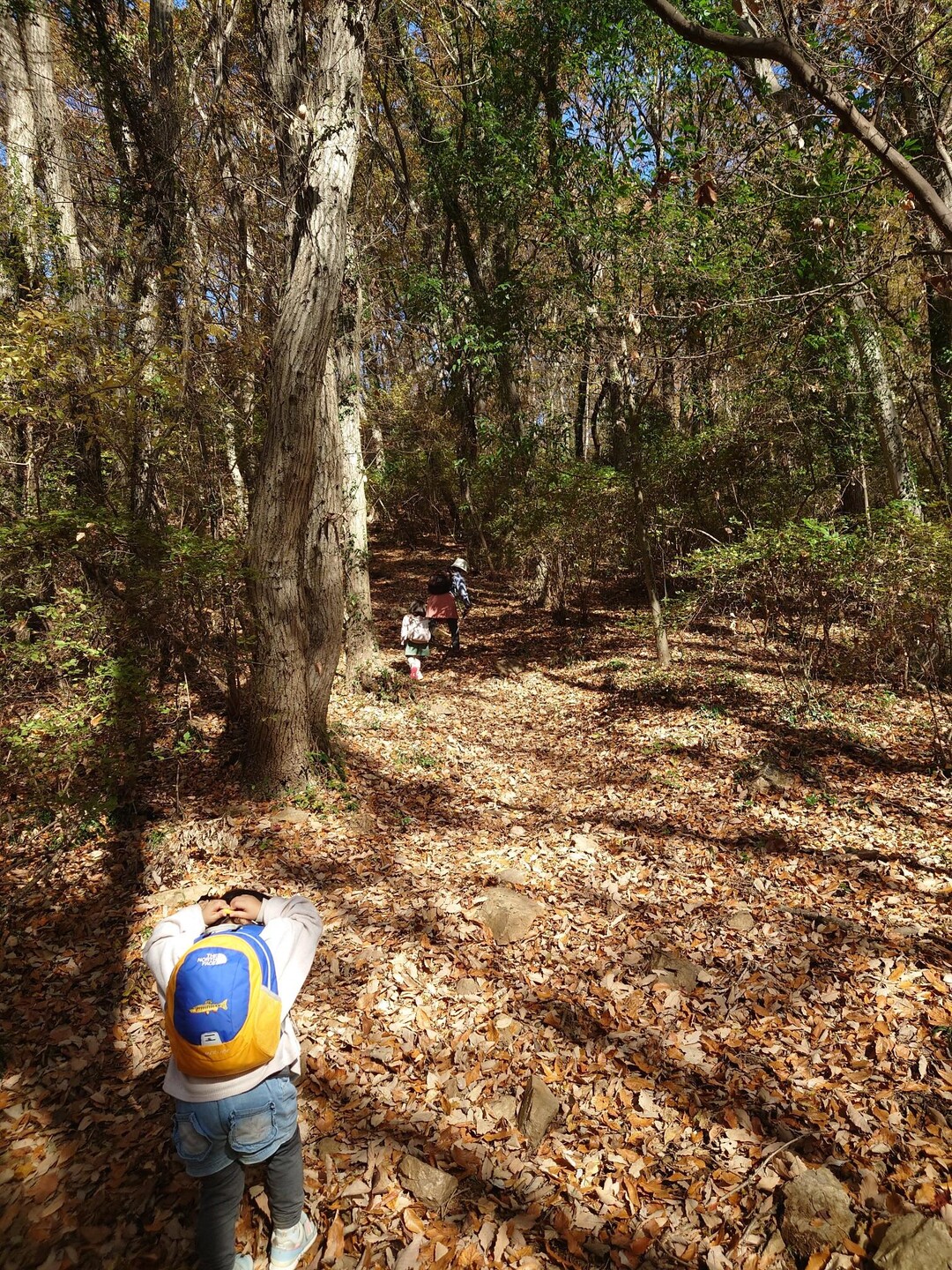 Tomさんの投稿したフィールドメモ | YAMAP / ヤマップ