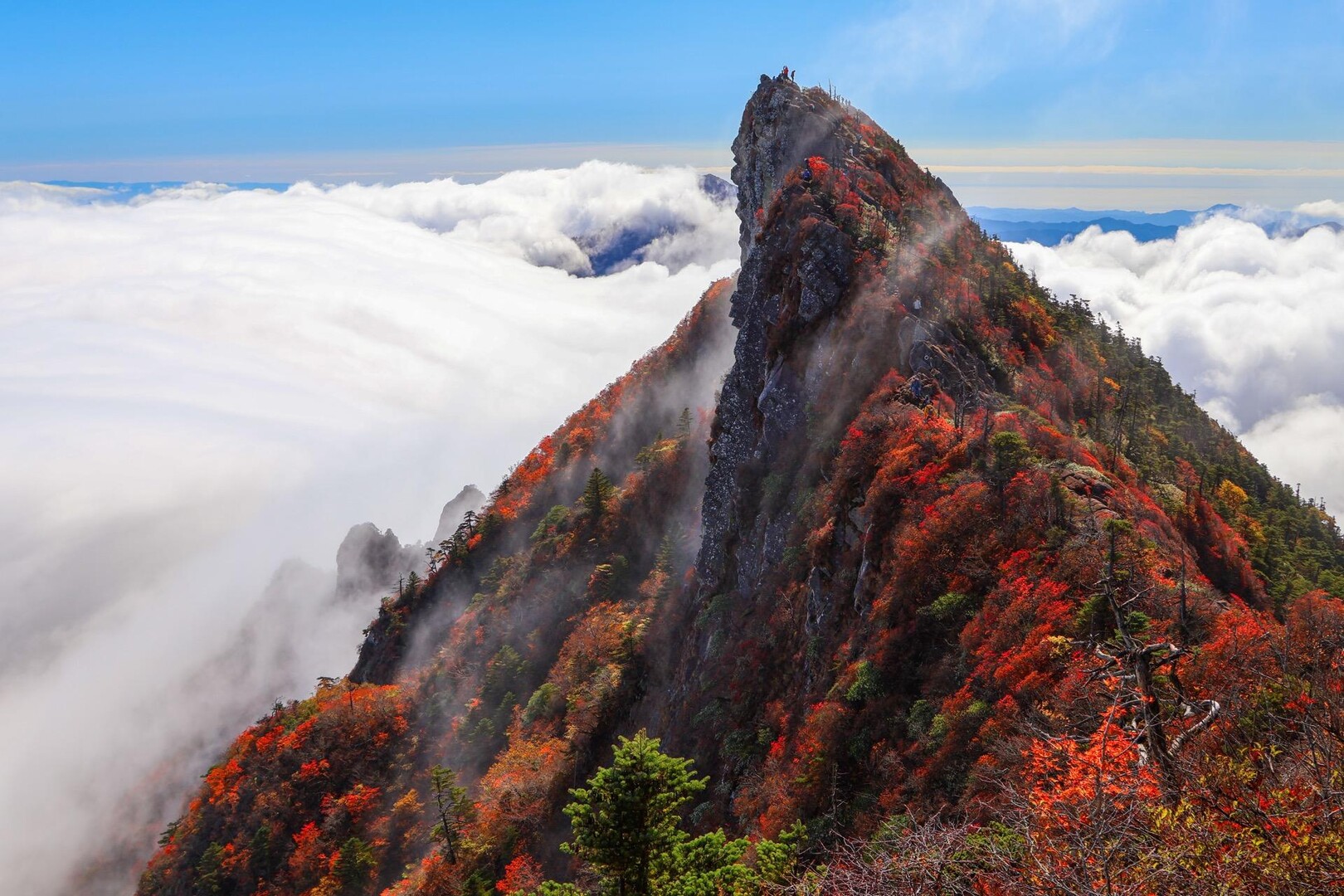 石鎚山 / Rioさんの石鎚山・堂ヶ森・二ノ森の活動データ | YAMAP / ヤマップ