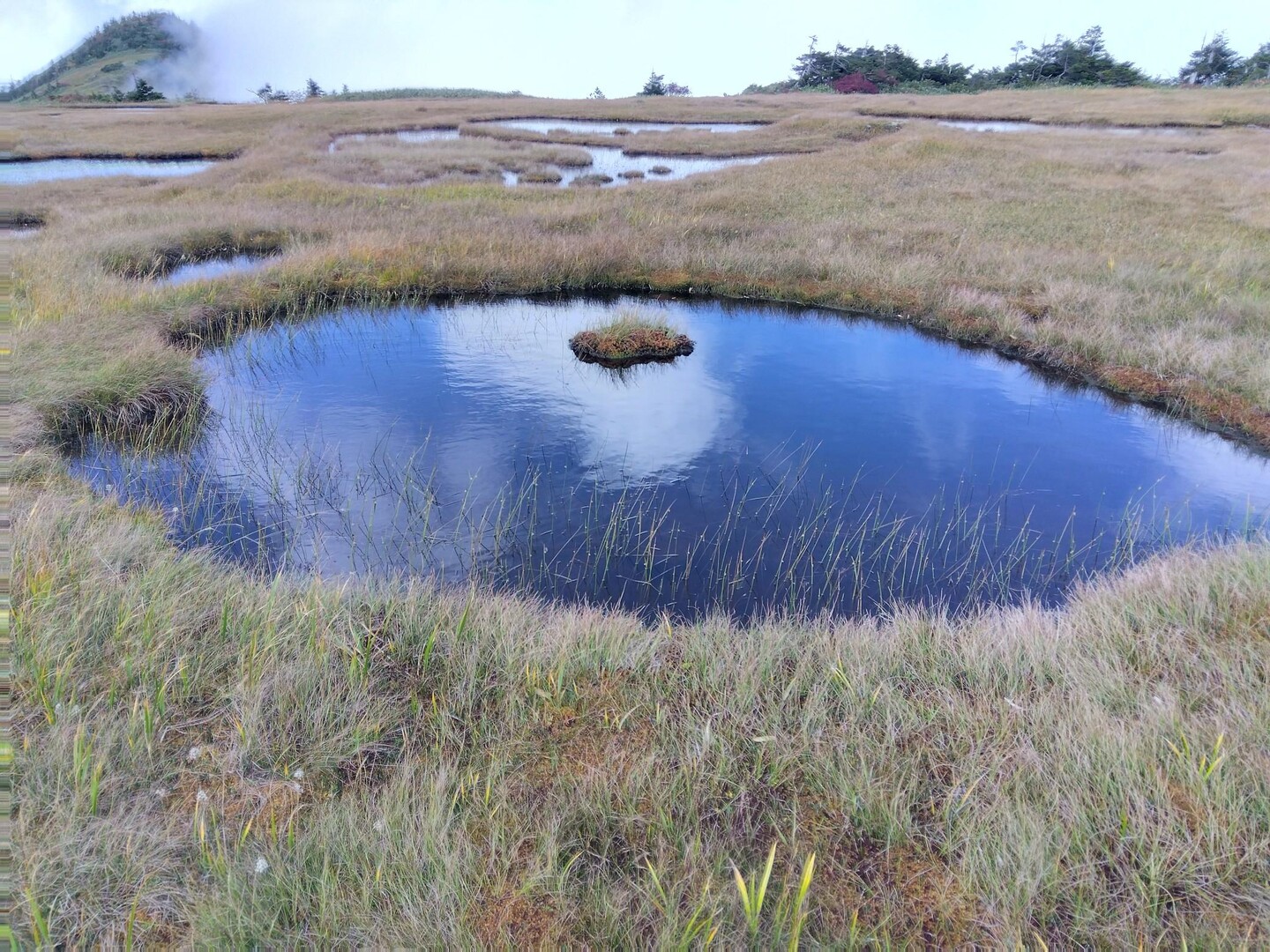 苗場山 / shino-puさんの苗場山・赤倉山・佐武流山の活動データ | YAMAP / ヤマップ