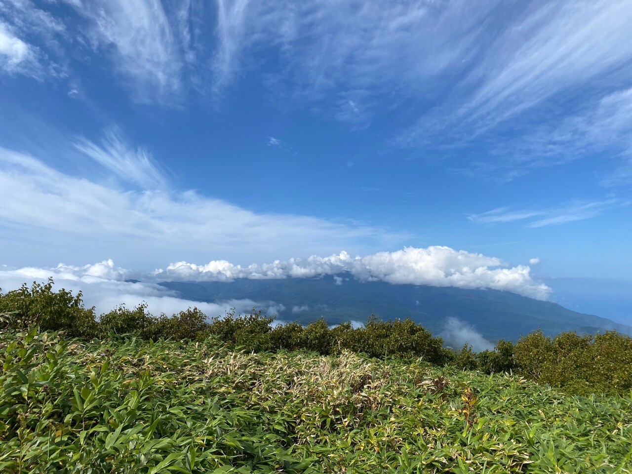 大平山 / satokenさんの大平山（北海道）の活動データ | YAMAP / ヤマップ