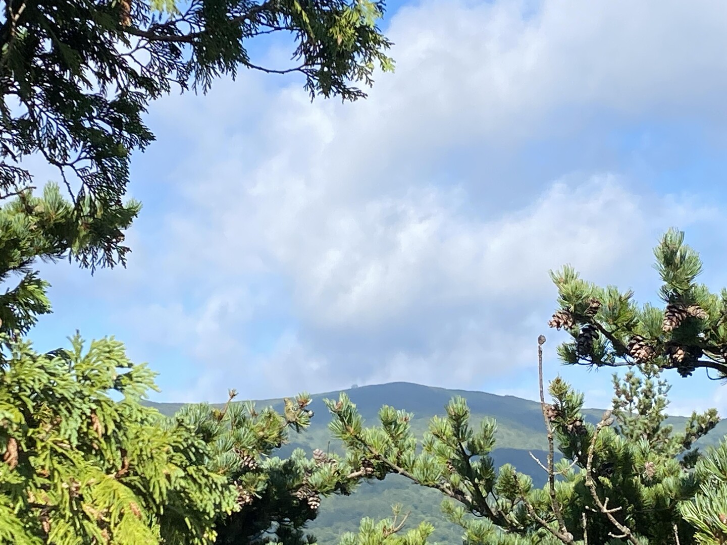 【長倉尾根〜升沢小屋】ビバーク寸前⁉️ / R_MAXさんの船形山（御所山）・泉ヶ岳・蛇ヶ岳の活動日記 | YAMAP / ヤマップ