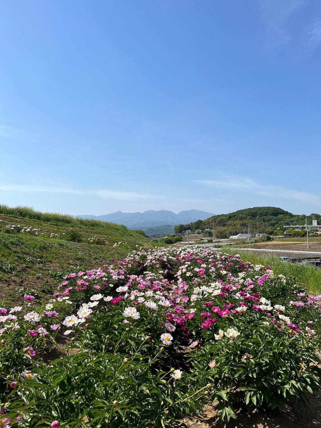 鹿田山へお茶☕️しにgo / ひーちゃんさんの鹿田山の活動データ | YAMAP / ヤマップ