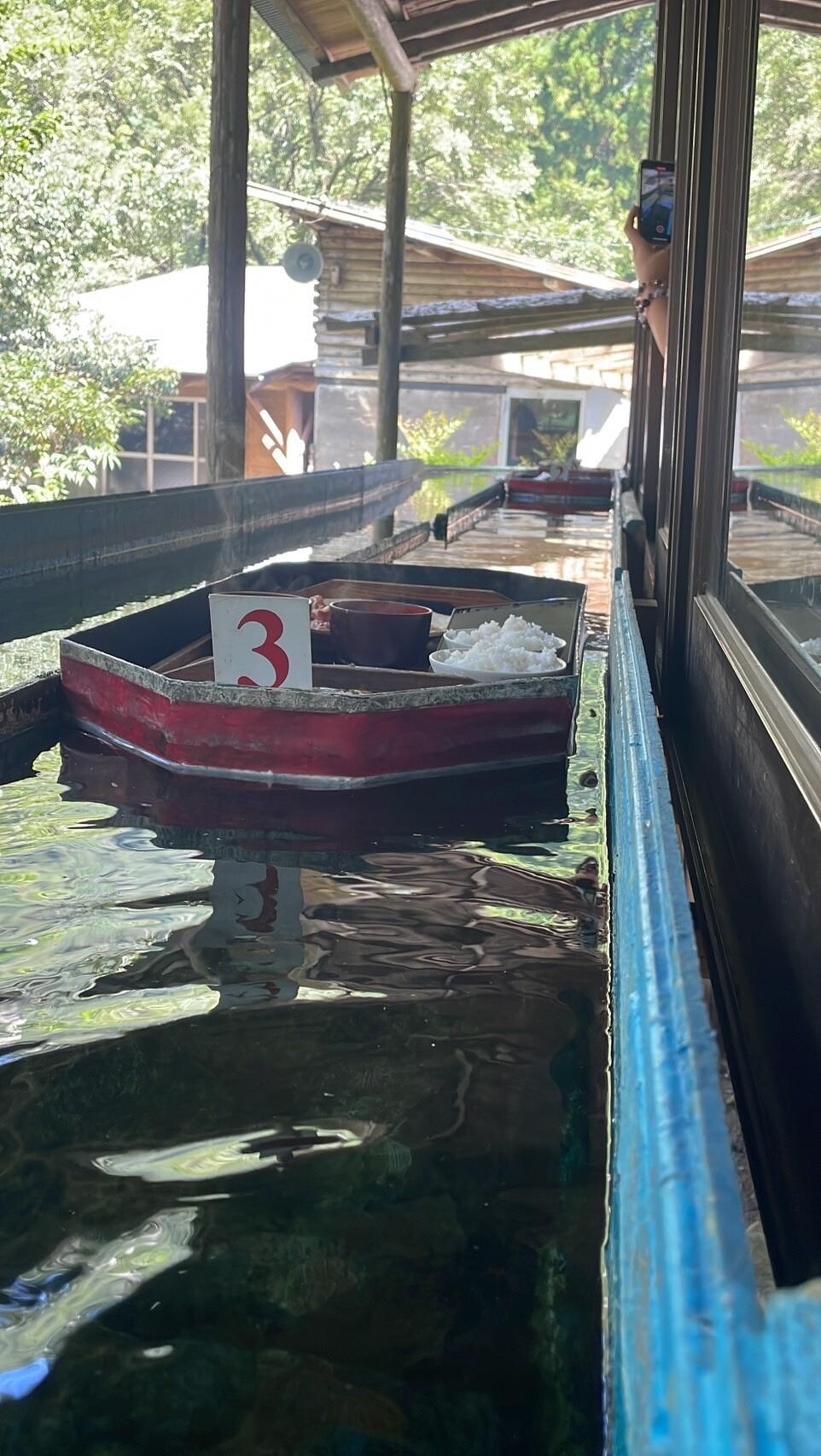 宮崎県綾町 綾の里 http://aya... / Seiji517さんのモーメント | YAMAP / ヤマップ