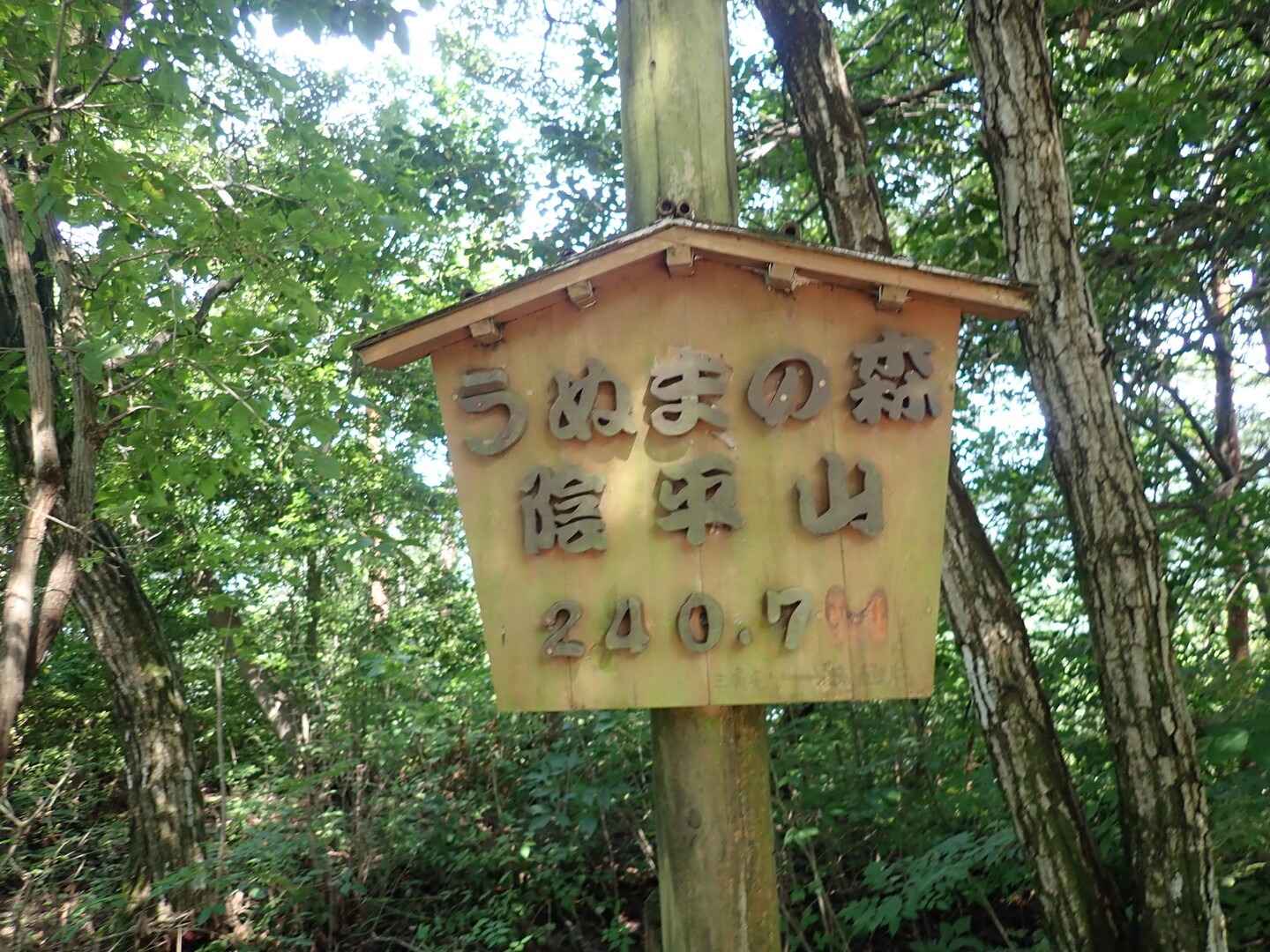 240713-2_陰平山（じろうまるコラボ42-2） / EIZさんの各務原アルプス（関南アルプス）・八木三山の活動データ | YAMAP / ヤマップ