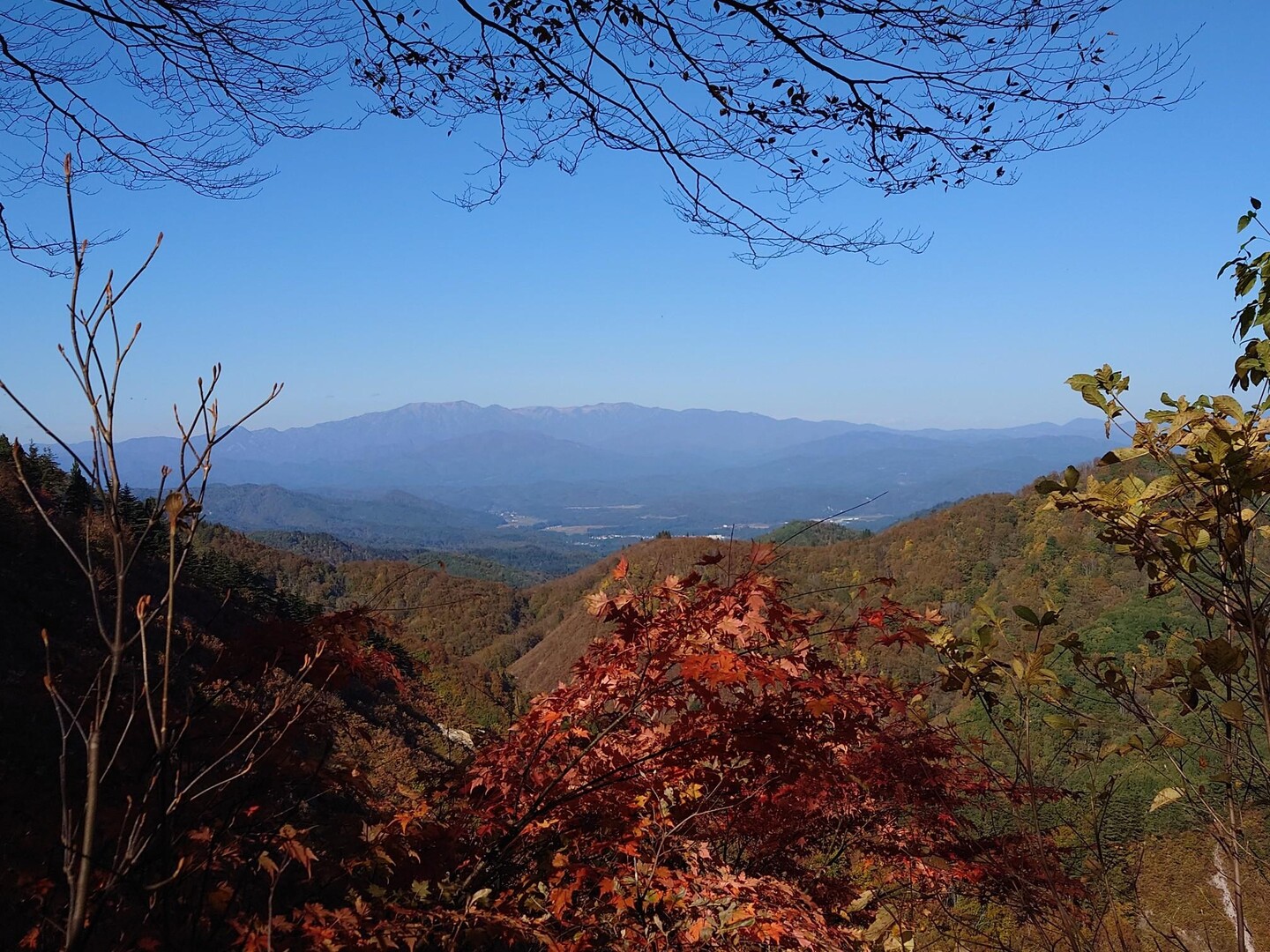 黒男山トレッキング / poppoさんの西会津町の活動データ | YAMAP / ヤマップ