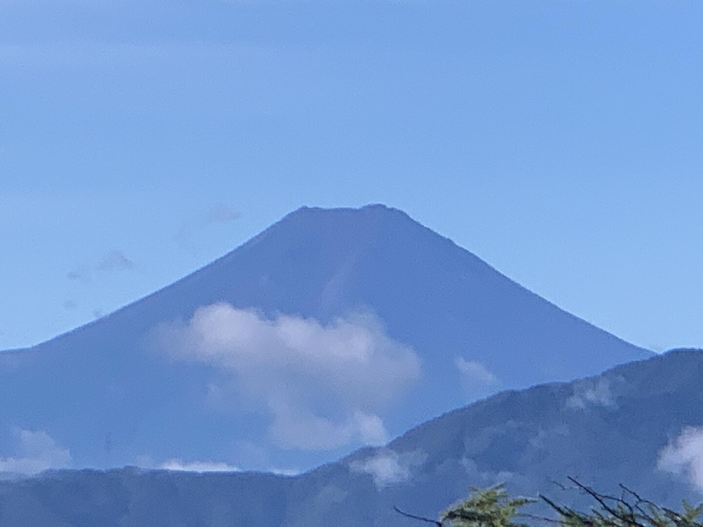 ヨモギノ頭・小雲取山・雲取山・七ツ石山 / genchさんの雲取山・鷹ノ巣山・七ツ石山の活動データ | YAMAP / ヤマップ