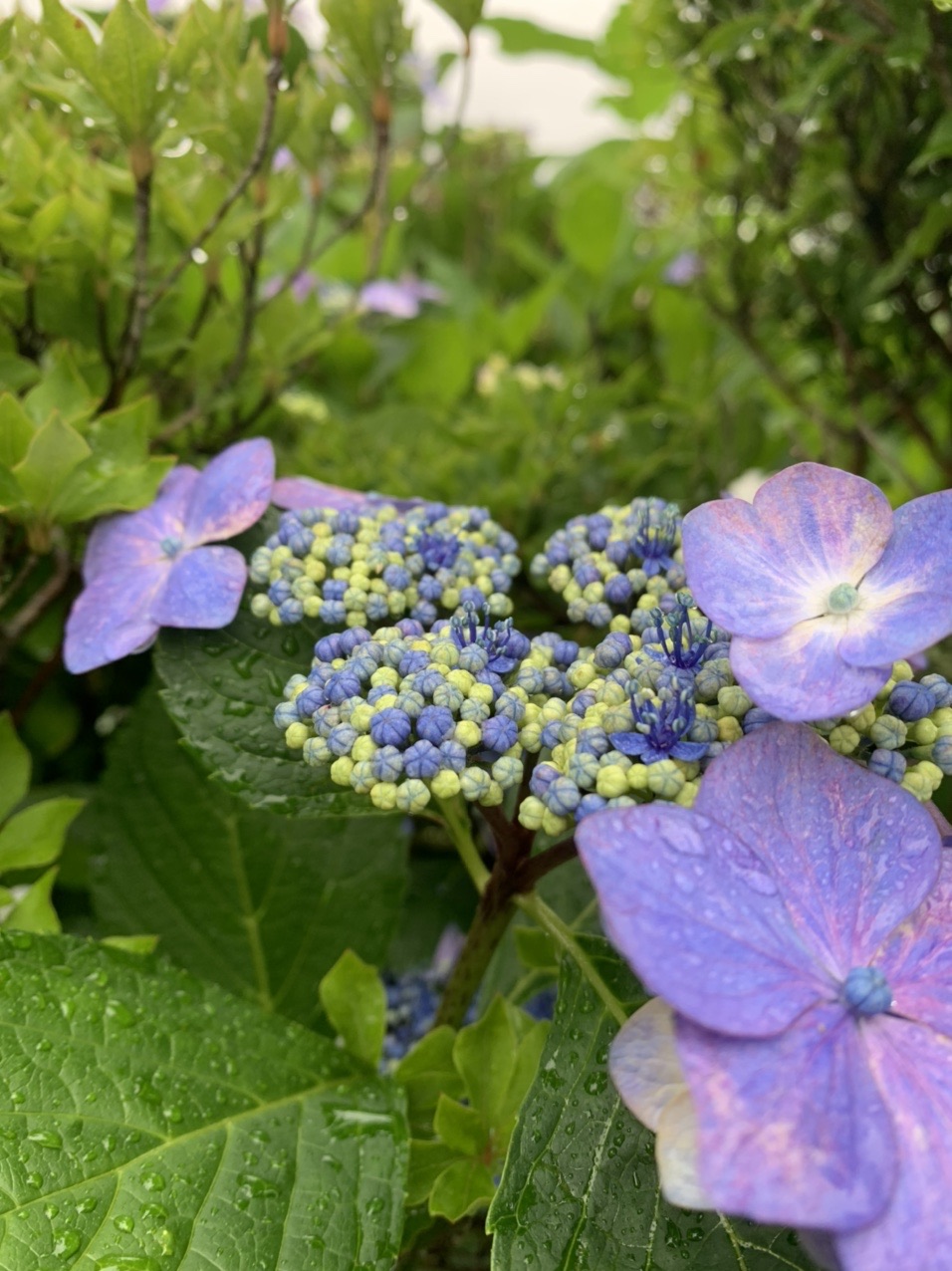 2021.07.07(水) 09:42 / k.fさんのモーメント | YAMAP / ヤマップ