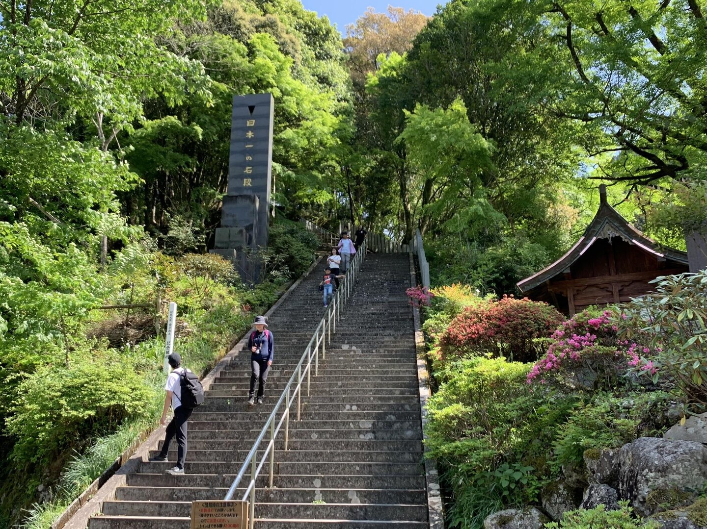 3回目の3333段の石段へ ️ ～大行寺山～ / hook tail ₍˄·͈༝·͈˄₎ฅさんの保口岳の活動データ | YAMAP / ヤマップ