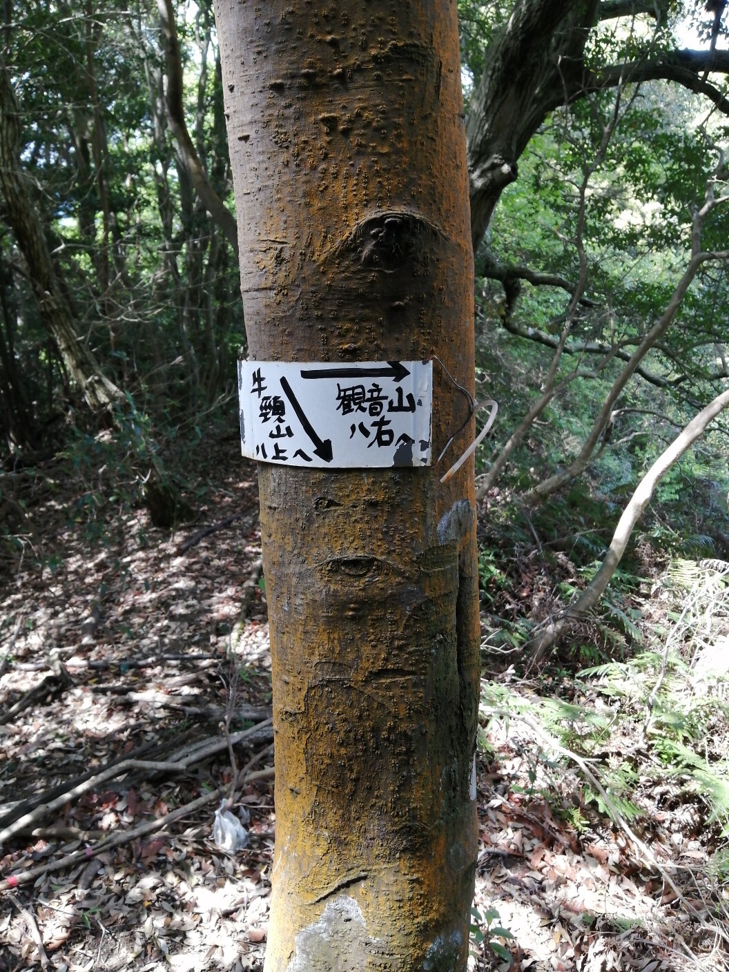 Nob ハイボール😎さんの投稿したフィールドメモ | YAMAP / ヤマップ