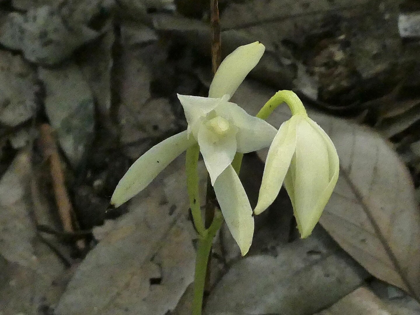 都立小宮公園 / skipさんの八王子市の活動データ | YAMAP / ヤマップ