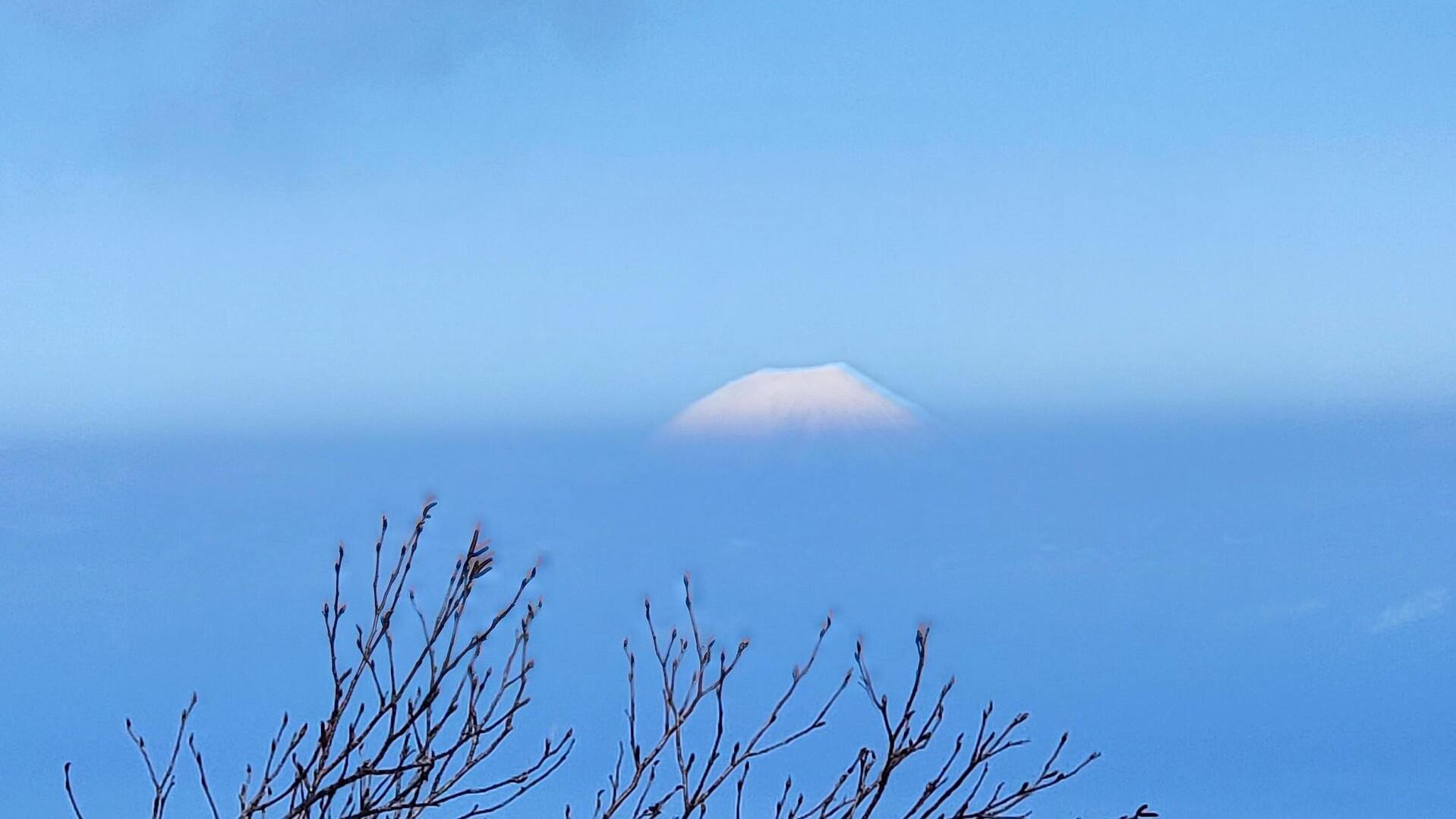 『GUSHIN』 / 😸😎田子作とニャマップ 🐹🐹さんの乙部岳の活動データ | YAMAP / ヤマップ