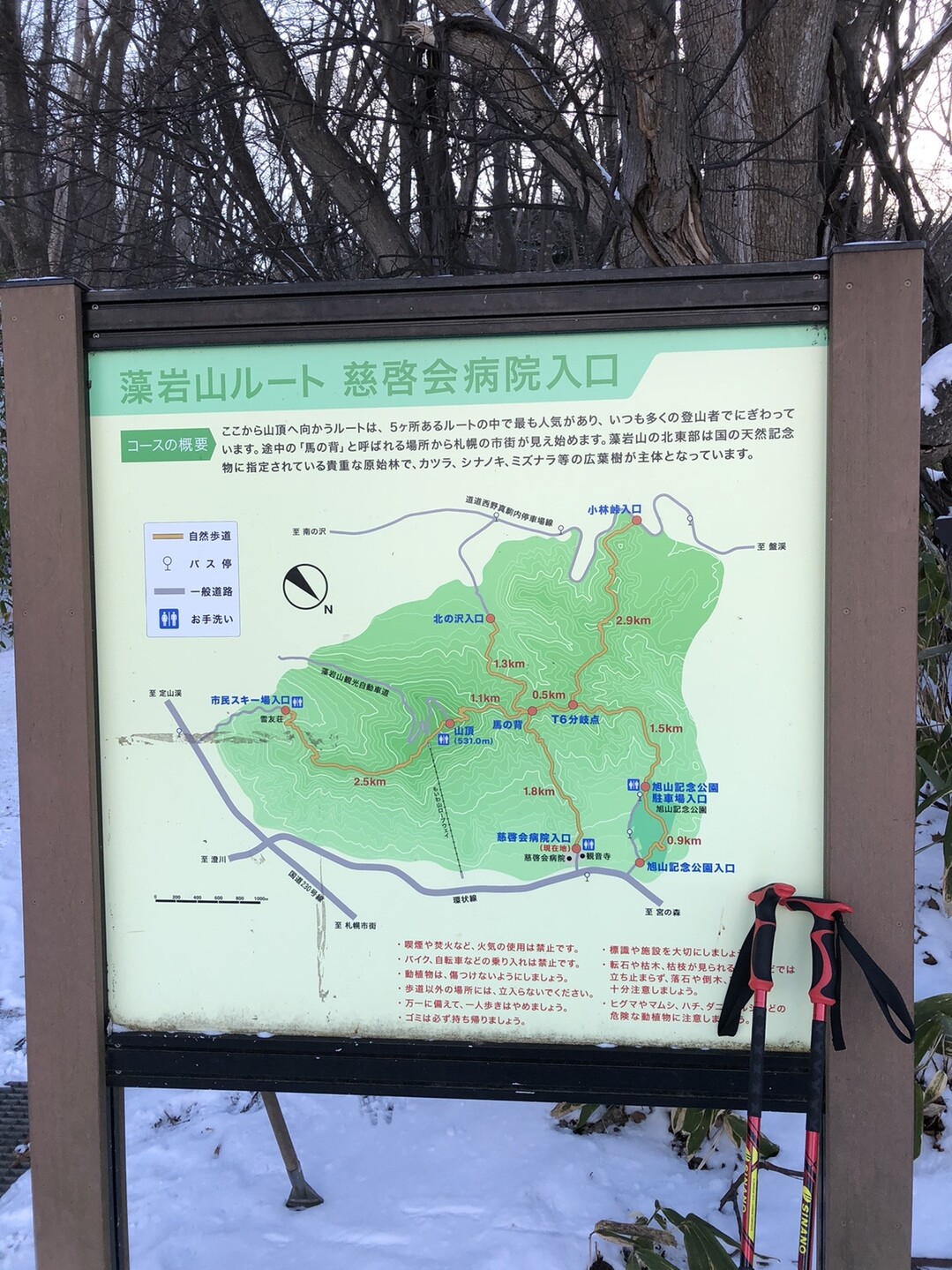 藻岩山-2020-01-04 / maboさんの藻岩山の活動データ | YAMAP / ヤマップ