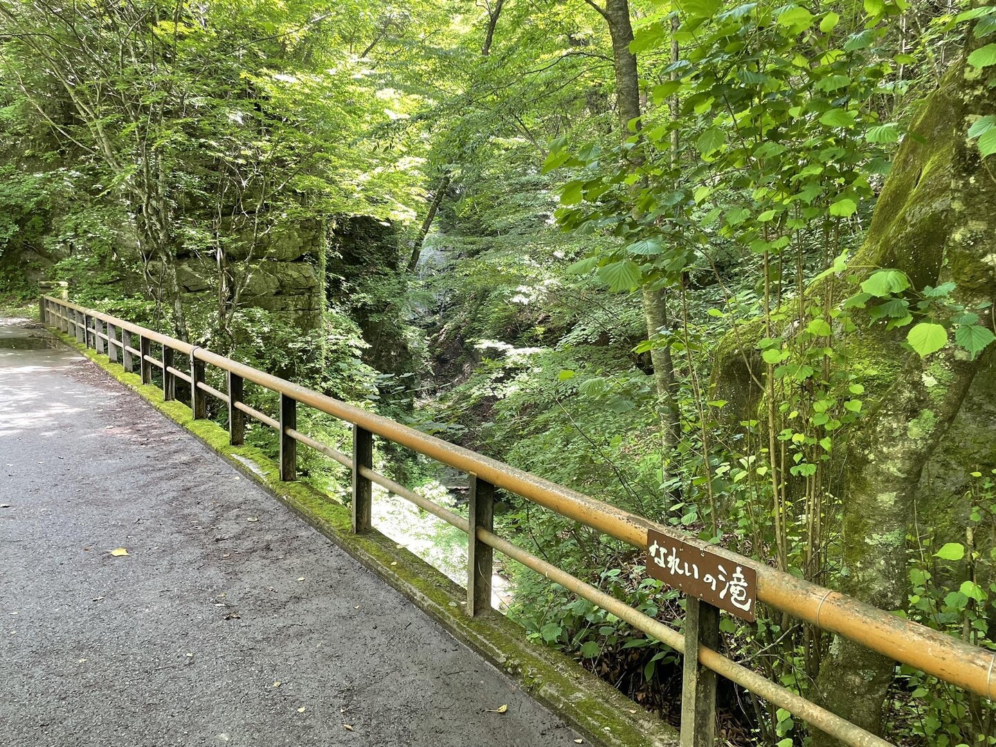 tsk-chaponさんの投稿したフィールドメモ | YAMAP / ヤマップ