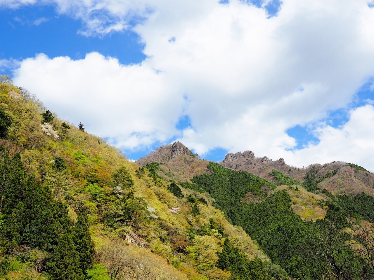 桧沢岳 北西稜 / yudaiさんの桧沢岳・小沢岳の活動データ | YAMAP / ヤマップ