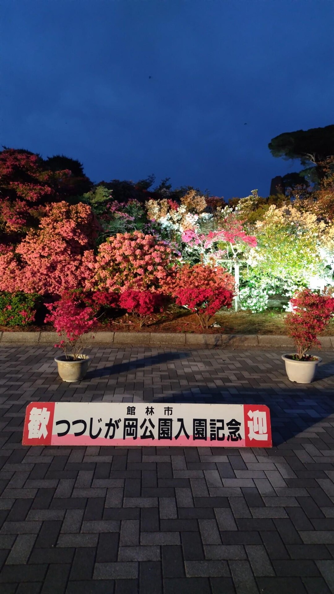 フォローさせてもらってる方にうかがったの... / riko** ☪さんのモーメント | YAMAP / ヤマップ