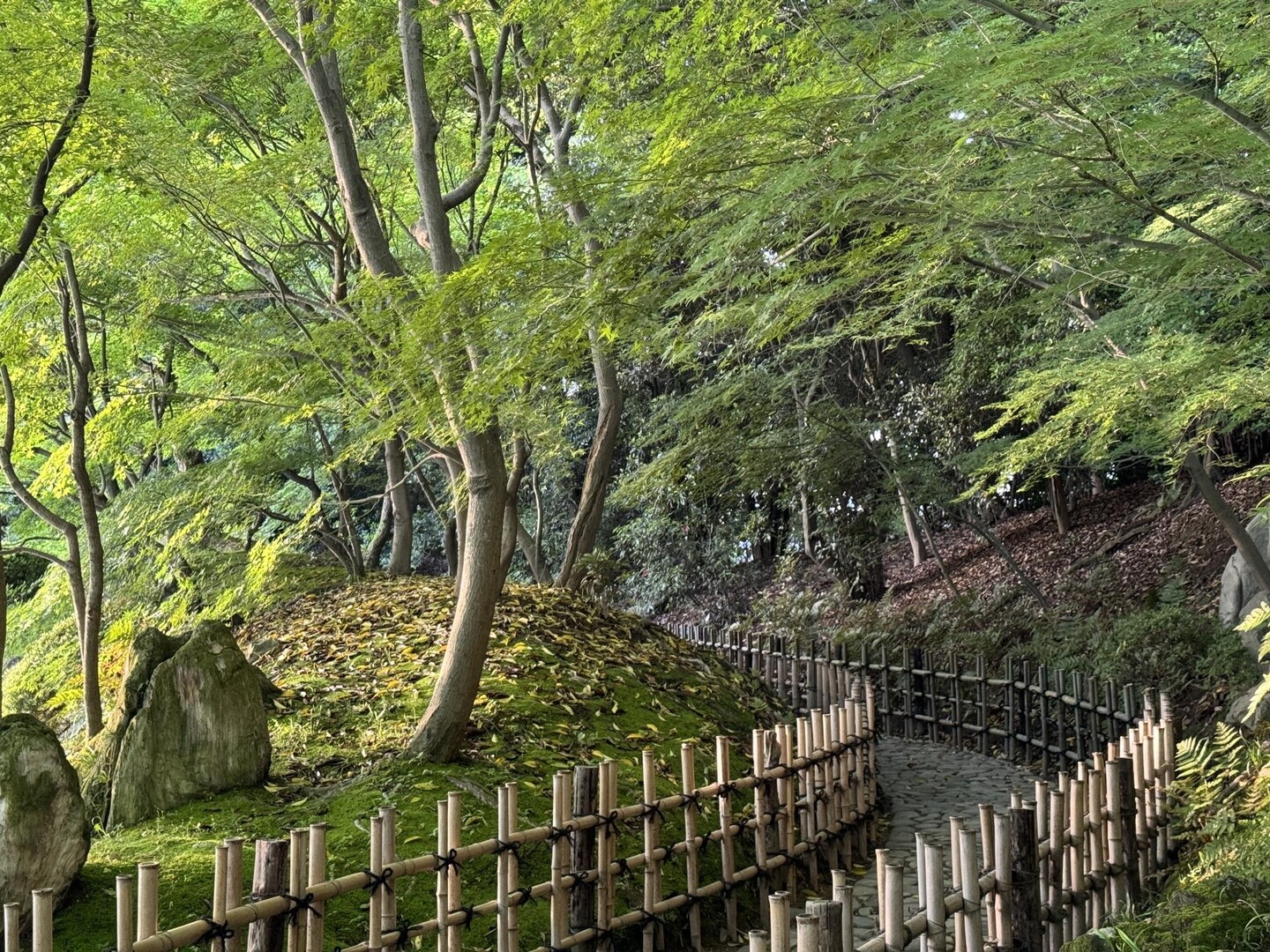 栗林公園散策42 / shojuatsuさんのウォーキングの活動データ | YAMAP / ヤマップ