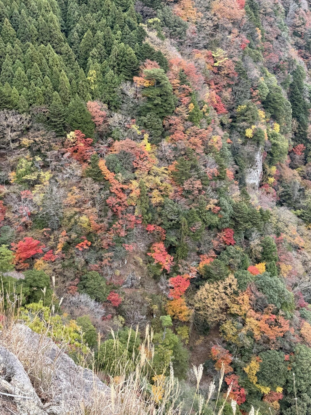 紅葉🍁見ながら楽しい岩登り🪨大天井岳・地蔵岳 / nyaomaskさんの雪彦山の活動データ | YAMAP / ヤマップ