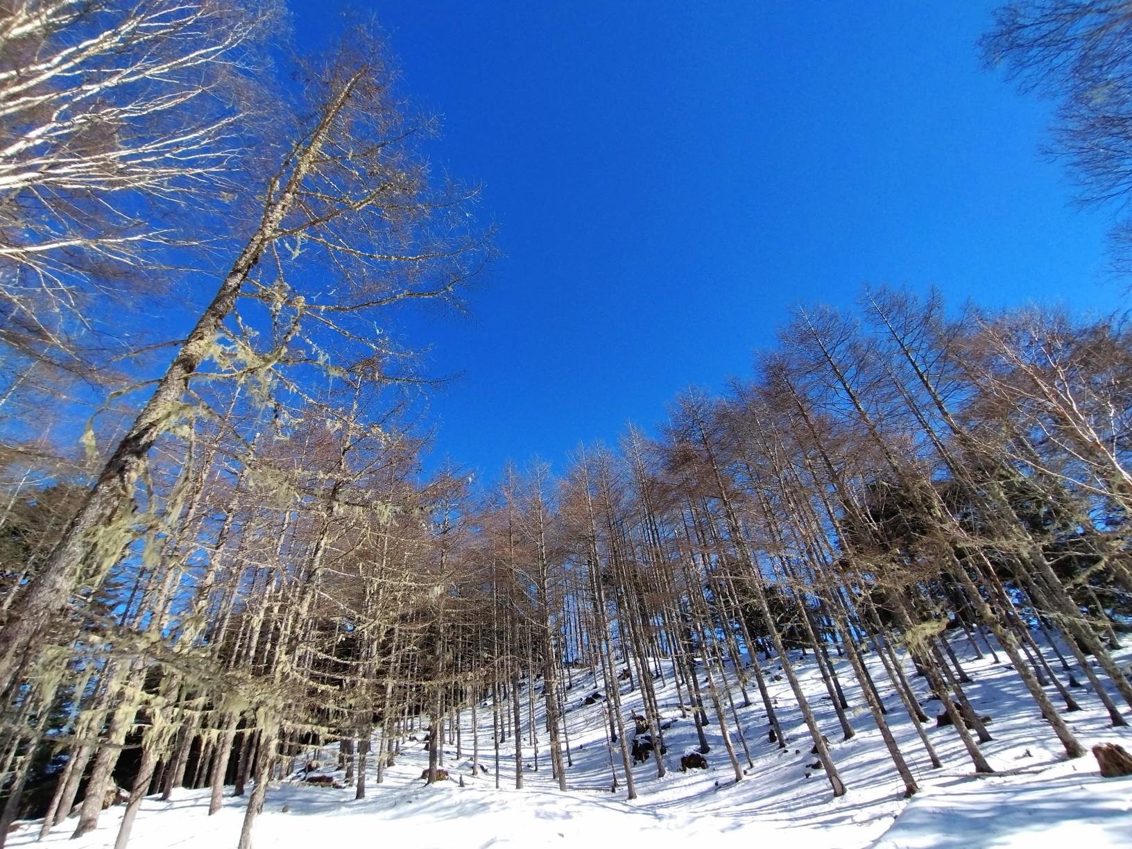 今回の冬シーズン。 霜焼け多発。 凍傷な... / Kmk-Nさんのモーメント | YAMAP / ヤマップ