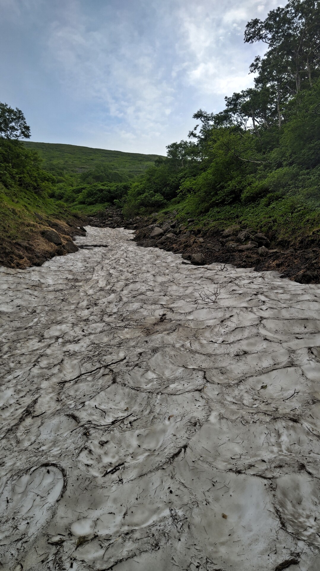 DSIさんの投稿したフィールドメモ | YAMAP / ヤマップ