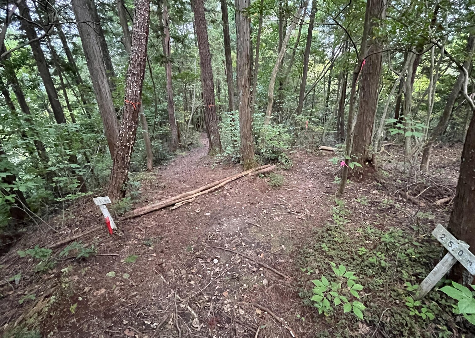 wtaxus わたくさすさんの投稿したフィールドメモ | YAMAP / ヤマップ