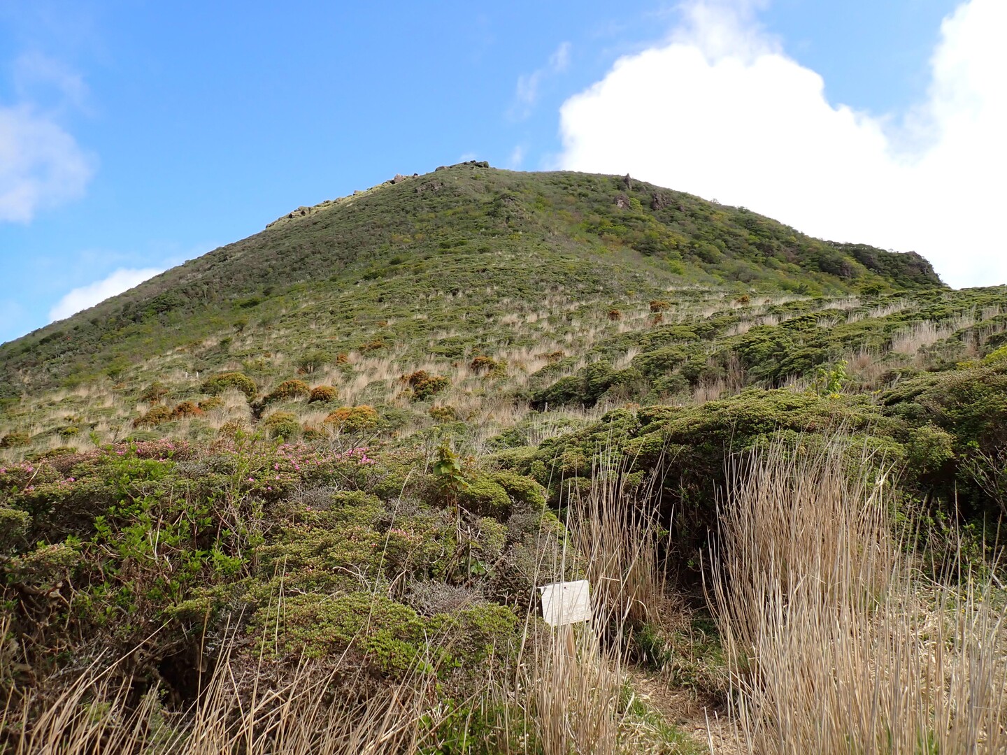 吉部登山口−平治岳−男池 / S.nekoさんの九重山（久住山）・大船山・星生山の活動データ | YAMAP / ヤマップ