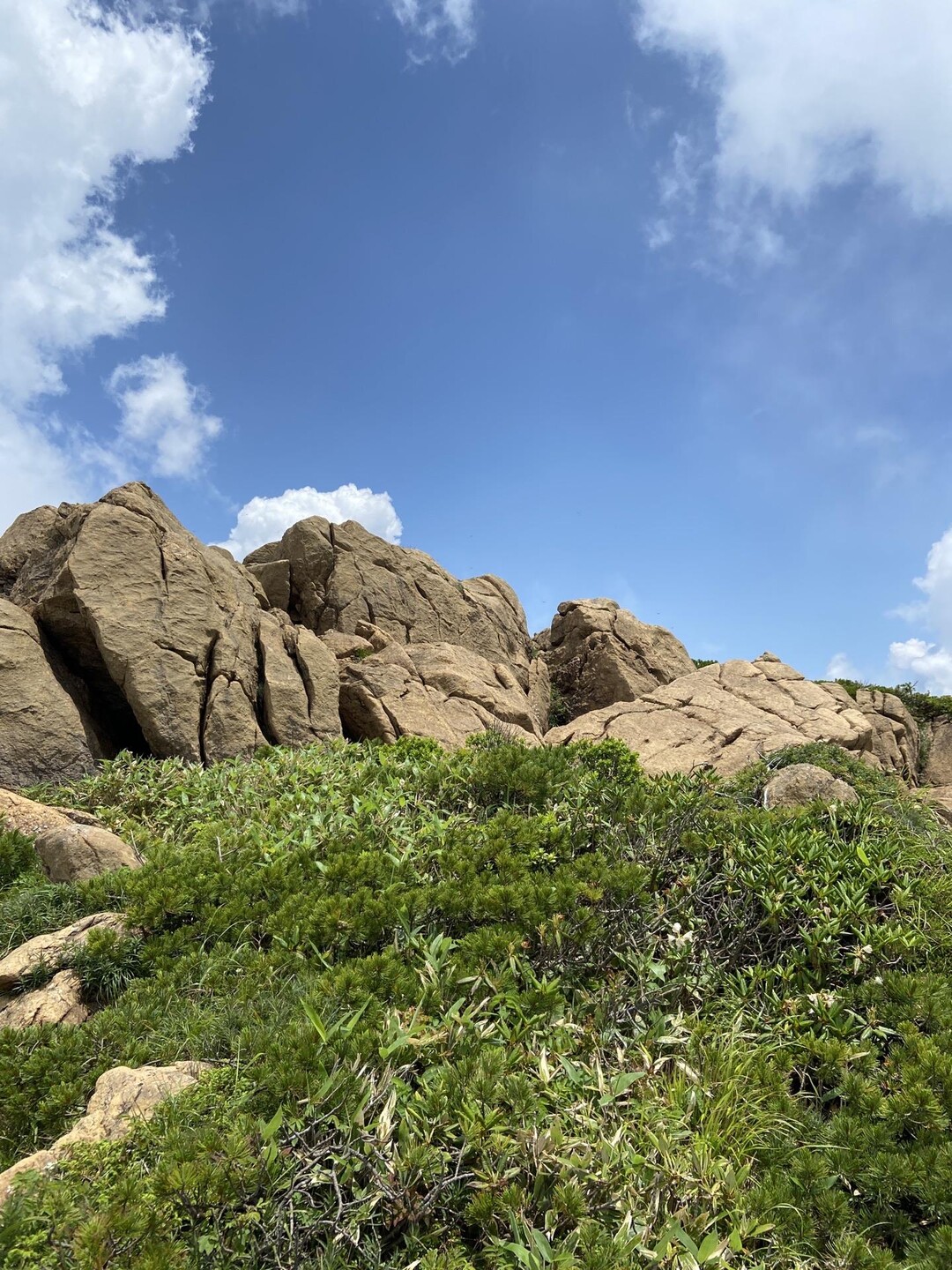 尾瀬2泊3日_2日目 至仏山・小至仏山 / yukaさんの尾瀬・燧ヶ岳の活動データ | YAMAP / ヤマップ