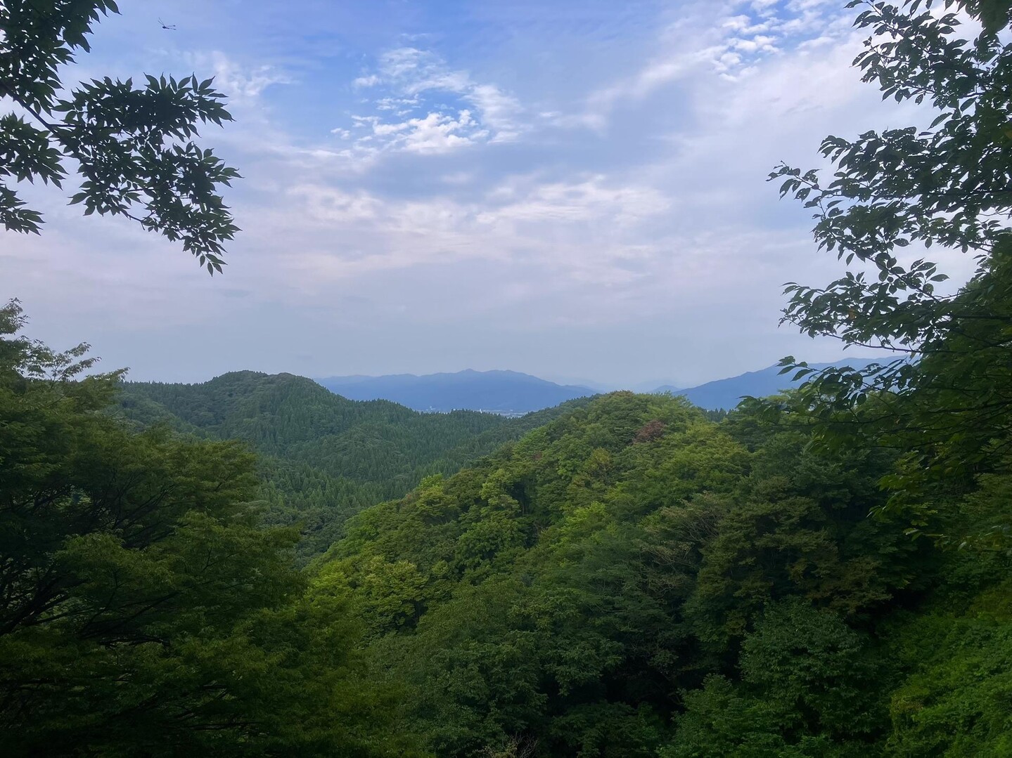 護摩ピス2.5🏃‍♂️ ︎護摩堂山 / Naluさんの菩提寺山・高立山・護摩堂山の活動データ | YAMAP / ヤマップ
