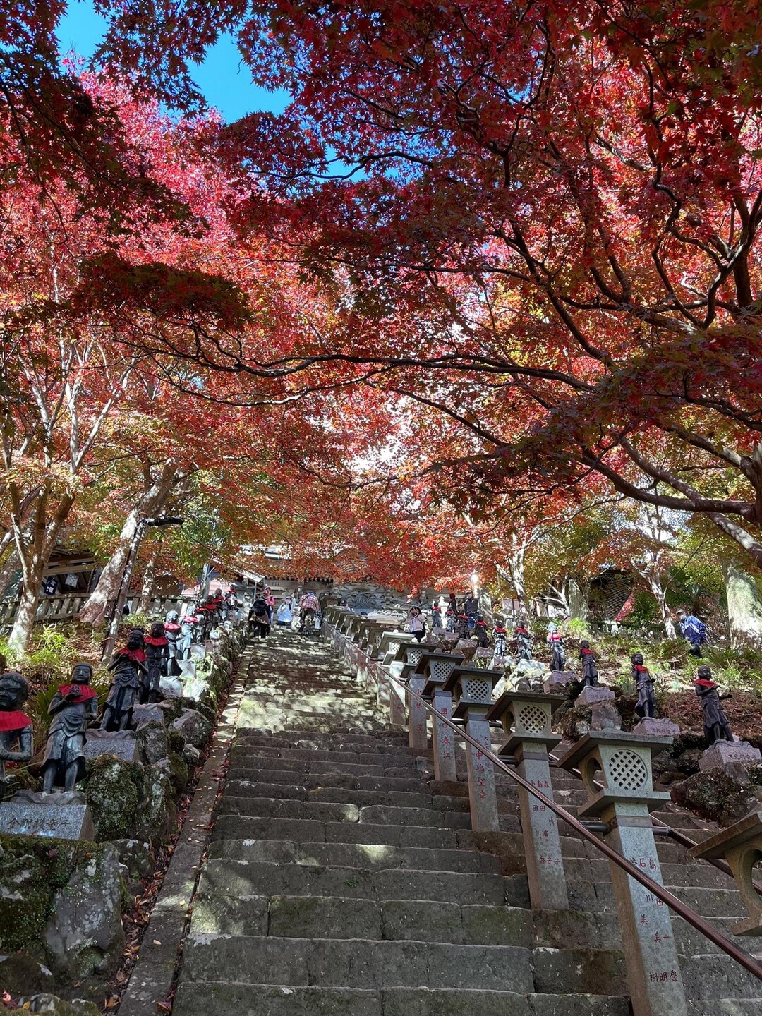 harryさんの投稿したフィールドメモ | YAMAP / ヤマップ