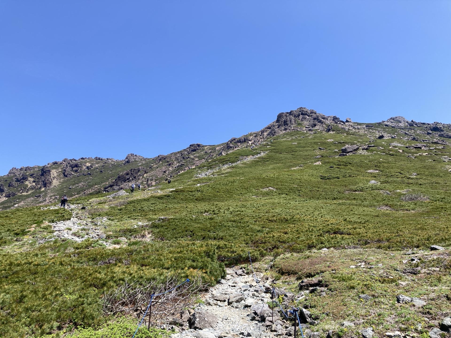 2025-6-7_早池峰山_小田越ルートピストン / Yoheyさんの早池峰山・薬師岳・鶏頭山の活動データ | YAMAP / ヤマップ