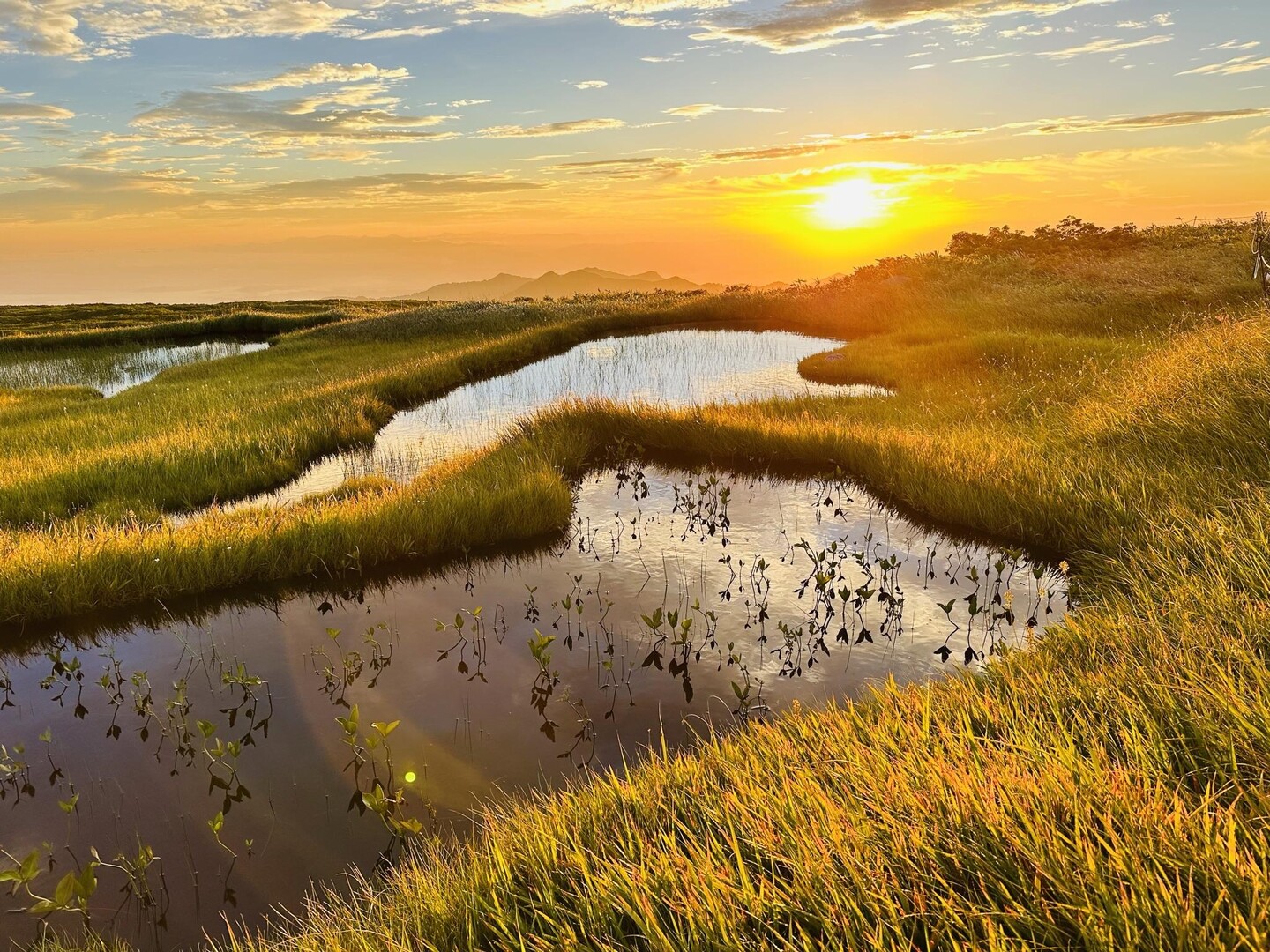 月山ご来光とスーパームーン🌕 / kaeruさんの月山の活動日記 | YAMAP / ヤマップ