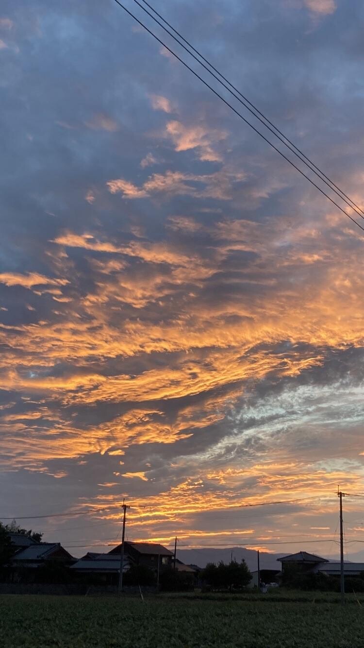 秋が燃えてました^ ^ / たかっshiさんのモーメント | YAMAP / ヤマップ