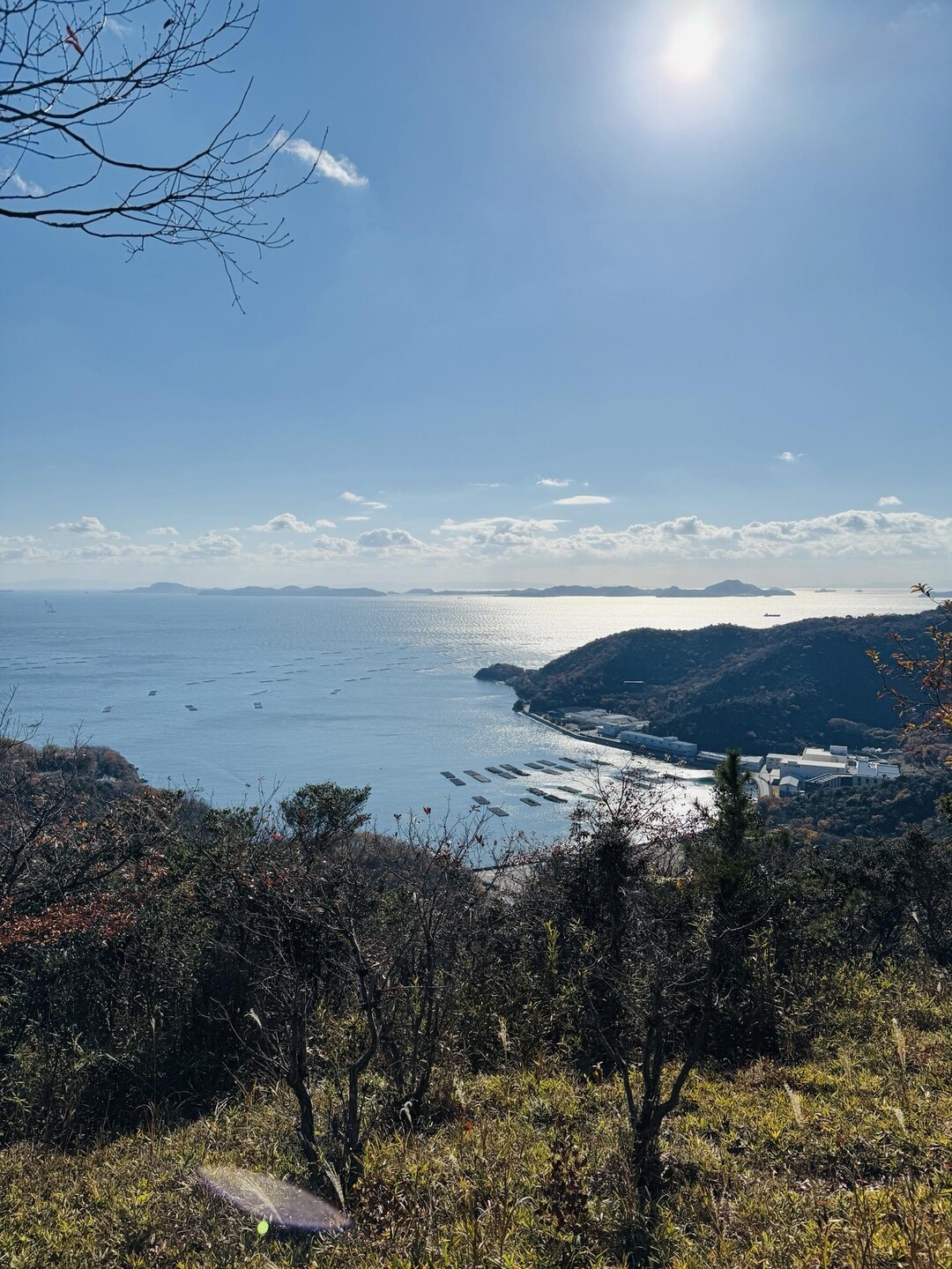 坂越再訪 オーシャンビュー最高☀️ / ヒロさんの雄鷹台山の活動日記 | YAMAP / ヤマップ