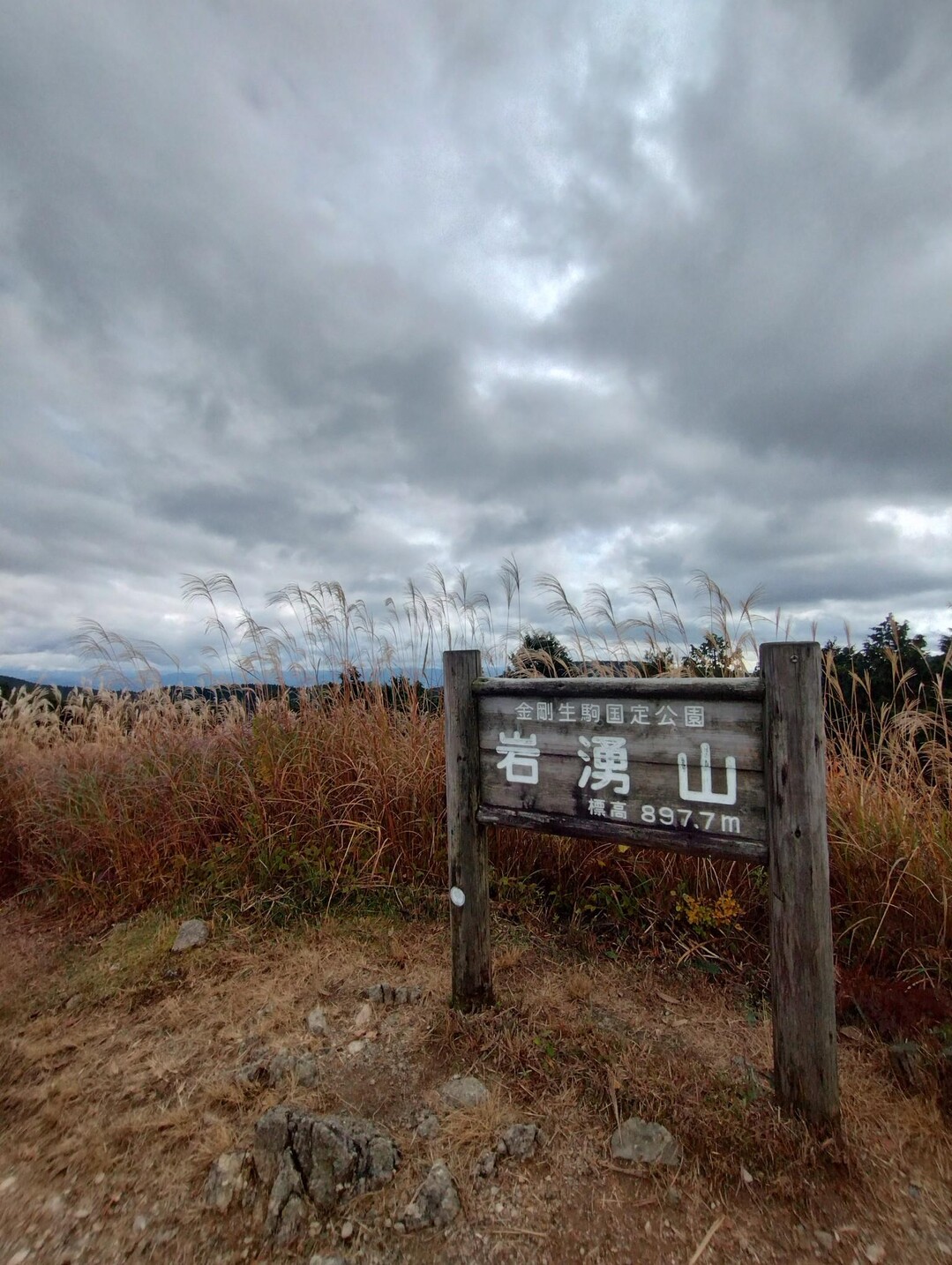 岩湧山 / small422さんの岩湧山・一徳防山・三石山の活動データ | YAMAP / ヤマップ