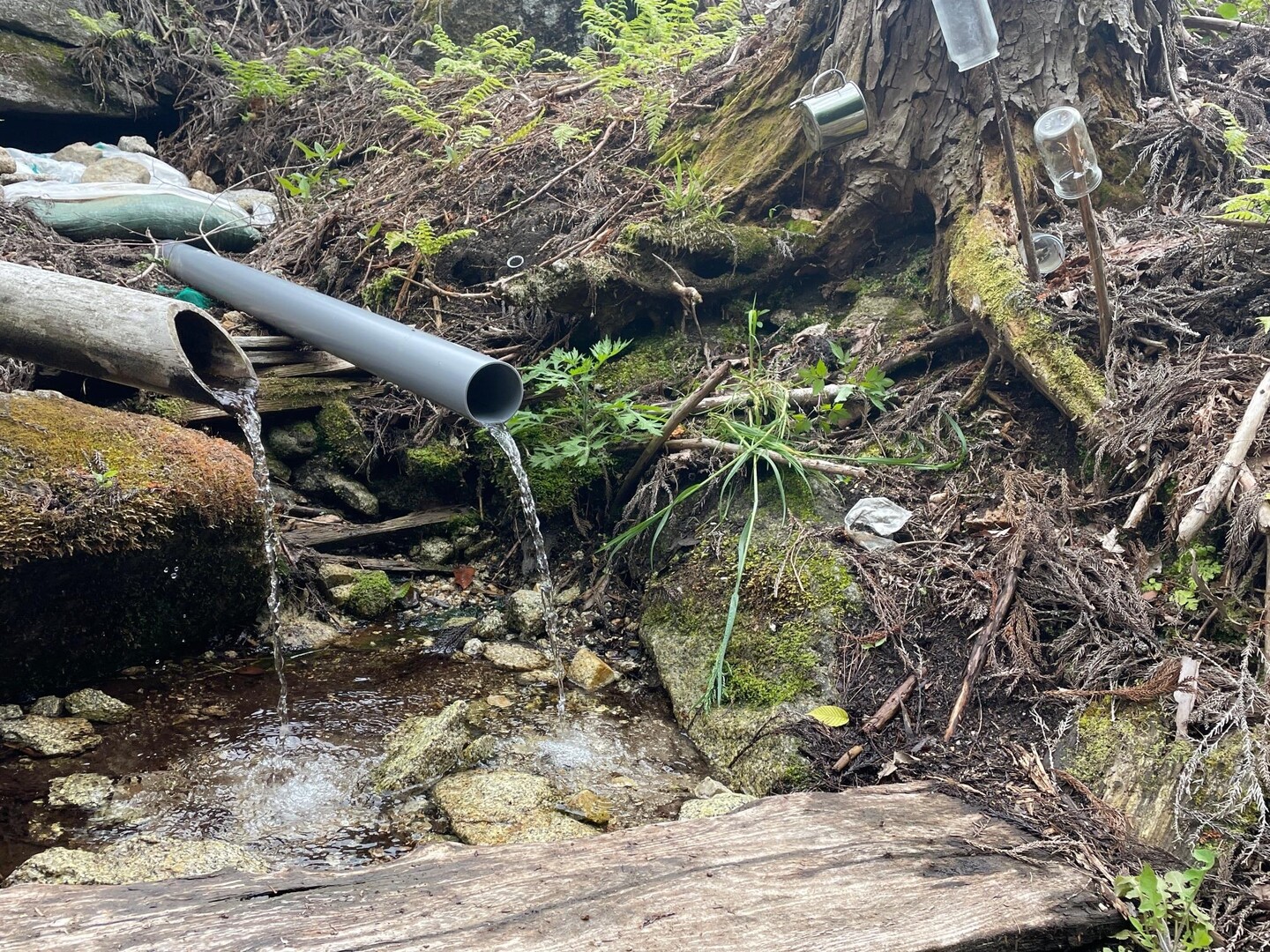 monamonaさんの投稿したフィールドメモ | YAMAP / ヤマップ