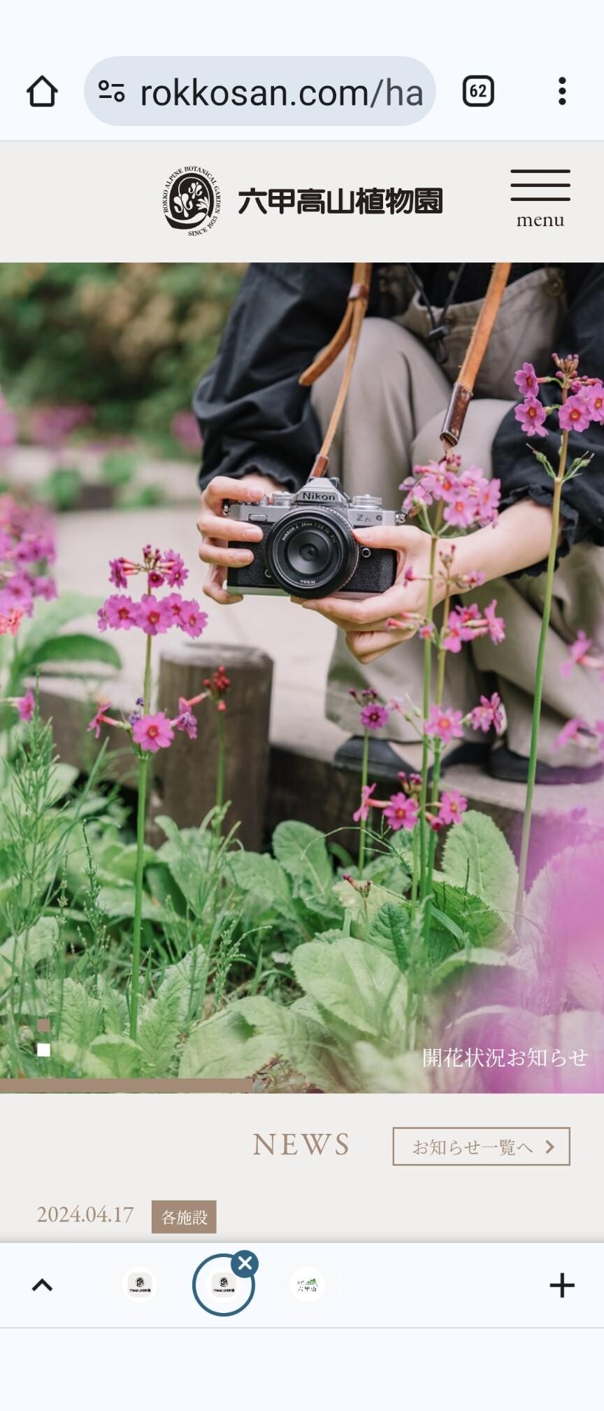 今日は久しぶりに京都の山を歩いてきました... / しんさんのモーメント | YAMAP / ヤマップ