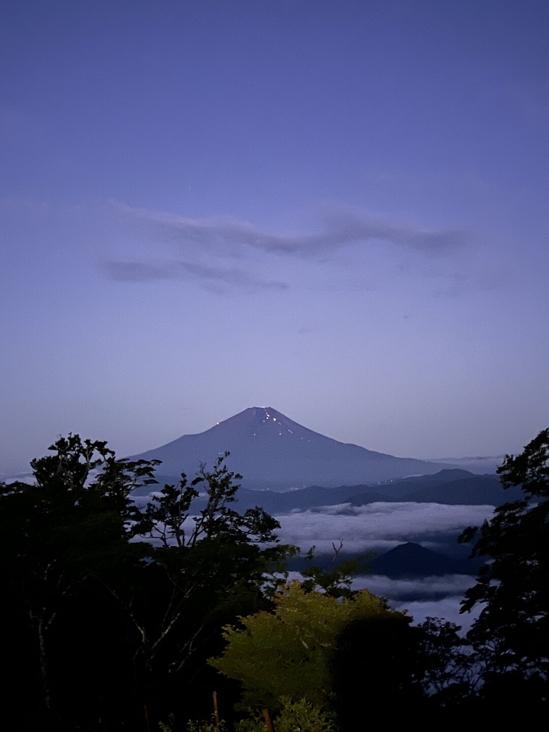 攻めの歩きでTTY目指すもDNF / すずこまさんの塔ノ岳・丹沢山・蛭ヶ岳の活動データ | YAMAP / ヤマップ
