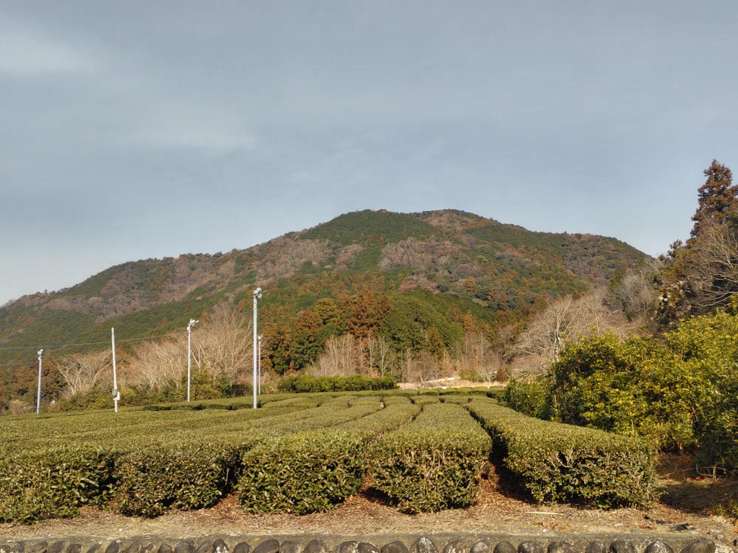 大日山【302.6m】往復ｺｰｽ / さとちゃんさんの国束山・大日山の活動データ | YAMAP / ヤマップ