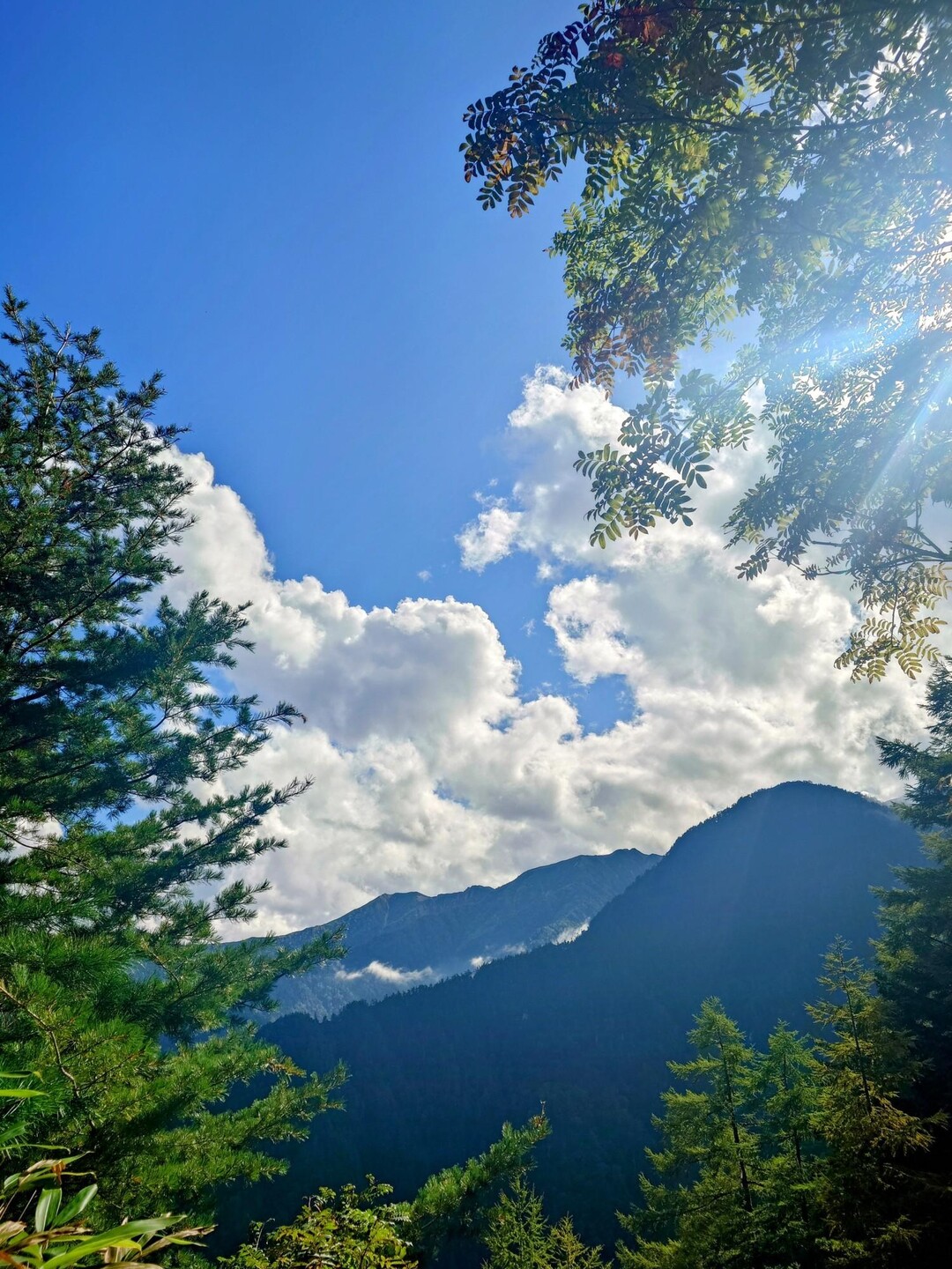 パノラマ銀座縦走（燕岳・大天井岳・常念岳・蝶ヶ岳•上高地） / momoさんの常念岳・大天井岳・燕岳の活動日記 | YAMAP / ヤマップ