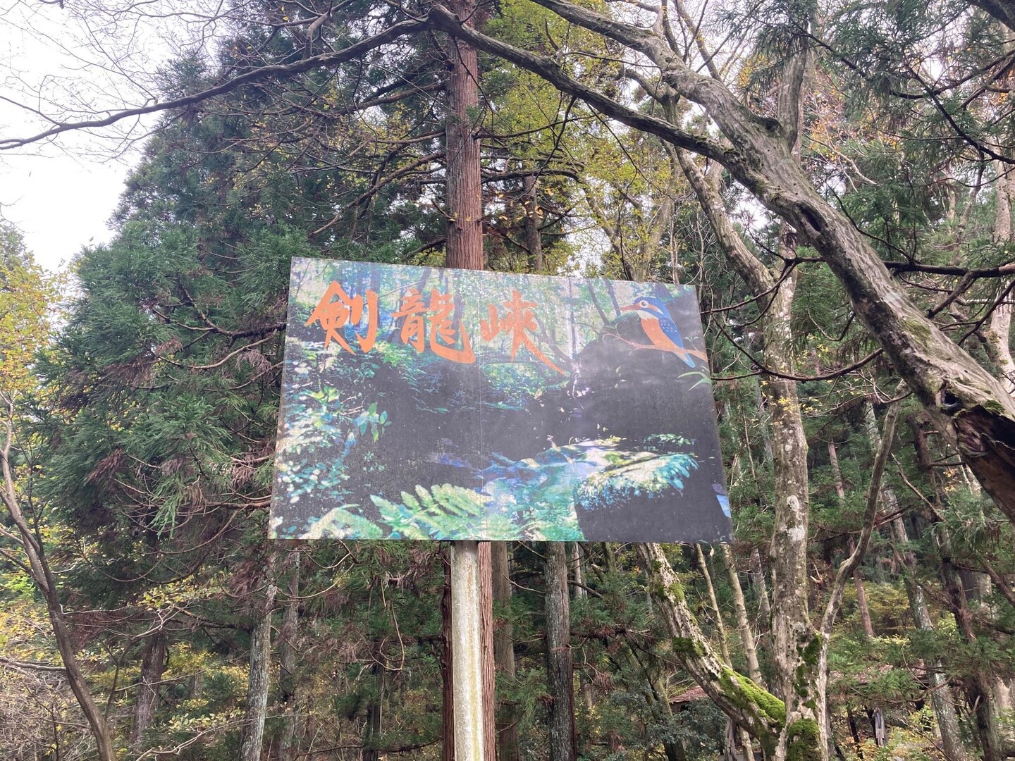 焼山・コマタ(剣龍峡 けんりゅうきょう) / mini98Dさんの剣龍峡・焼山の活動データ | YAMAP / ヤマップ