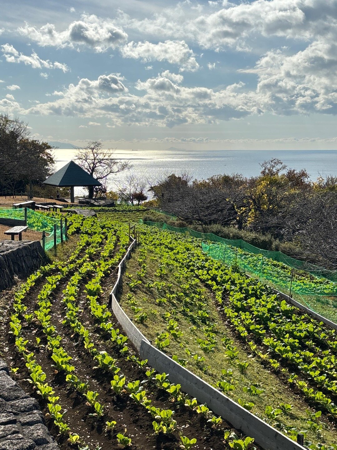 吾妻山・神揃山・鷹取山・日之宮山・山王山 / mskふぅさんの高麗山・湘南平・鷹取山の活動データ | YAMAP / ヤマップ