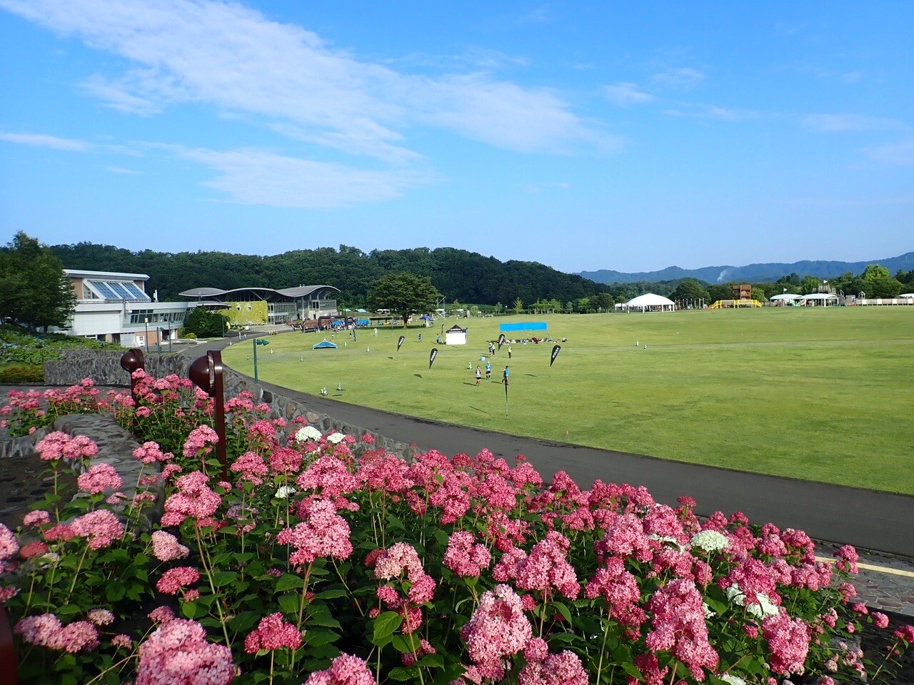 越後丘陵公園33km-2021-06-26 / みかんさんのランニングの活動データ | YAMAP / ヤマップ
