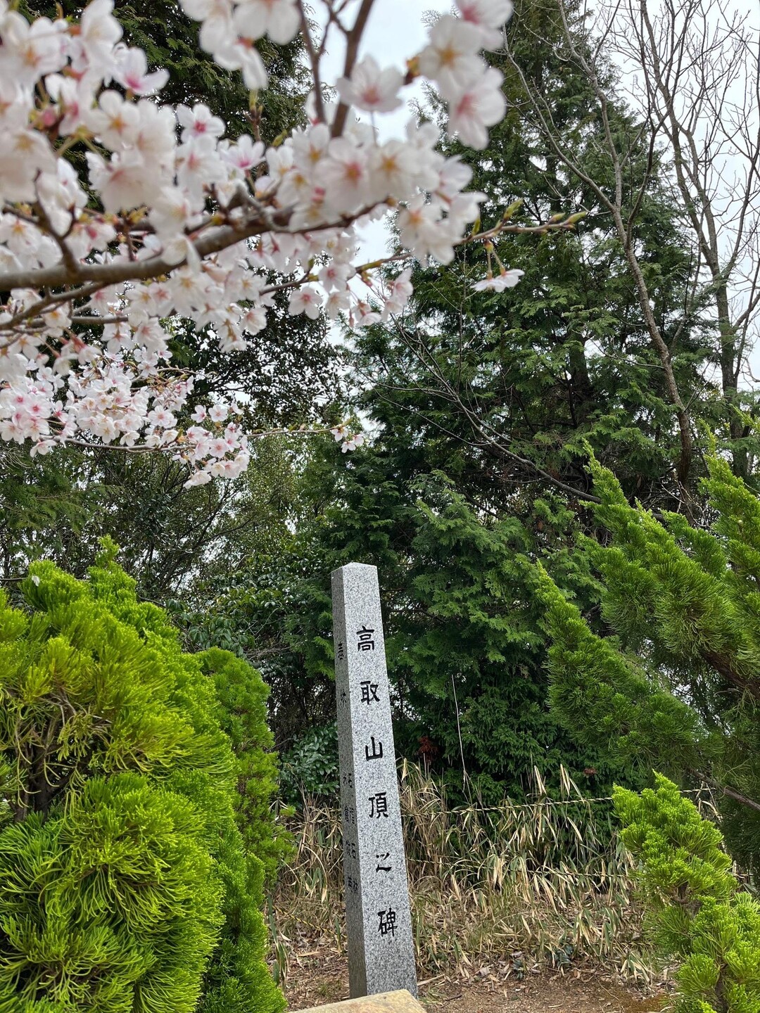 高取山 / moko_sさんの六甲山・長峰山・摩耶山の活動データ | YAMAP / ヤマップ