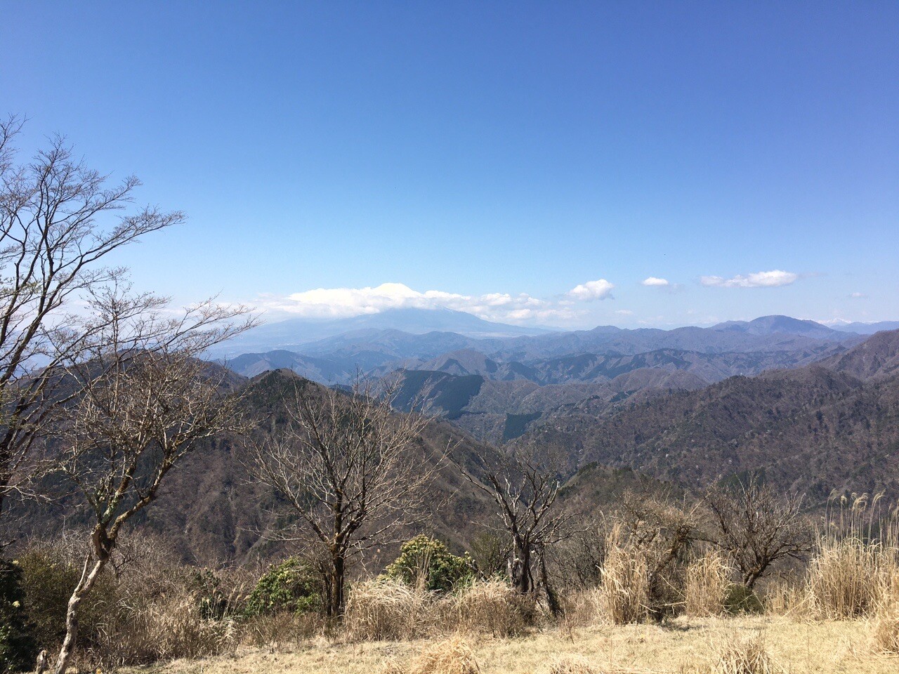 鍋割山 / Namiさんの塔ノ岳・丹沢山・蛭ヶ岳の活動データ | YAMAP / ヤマップ