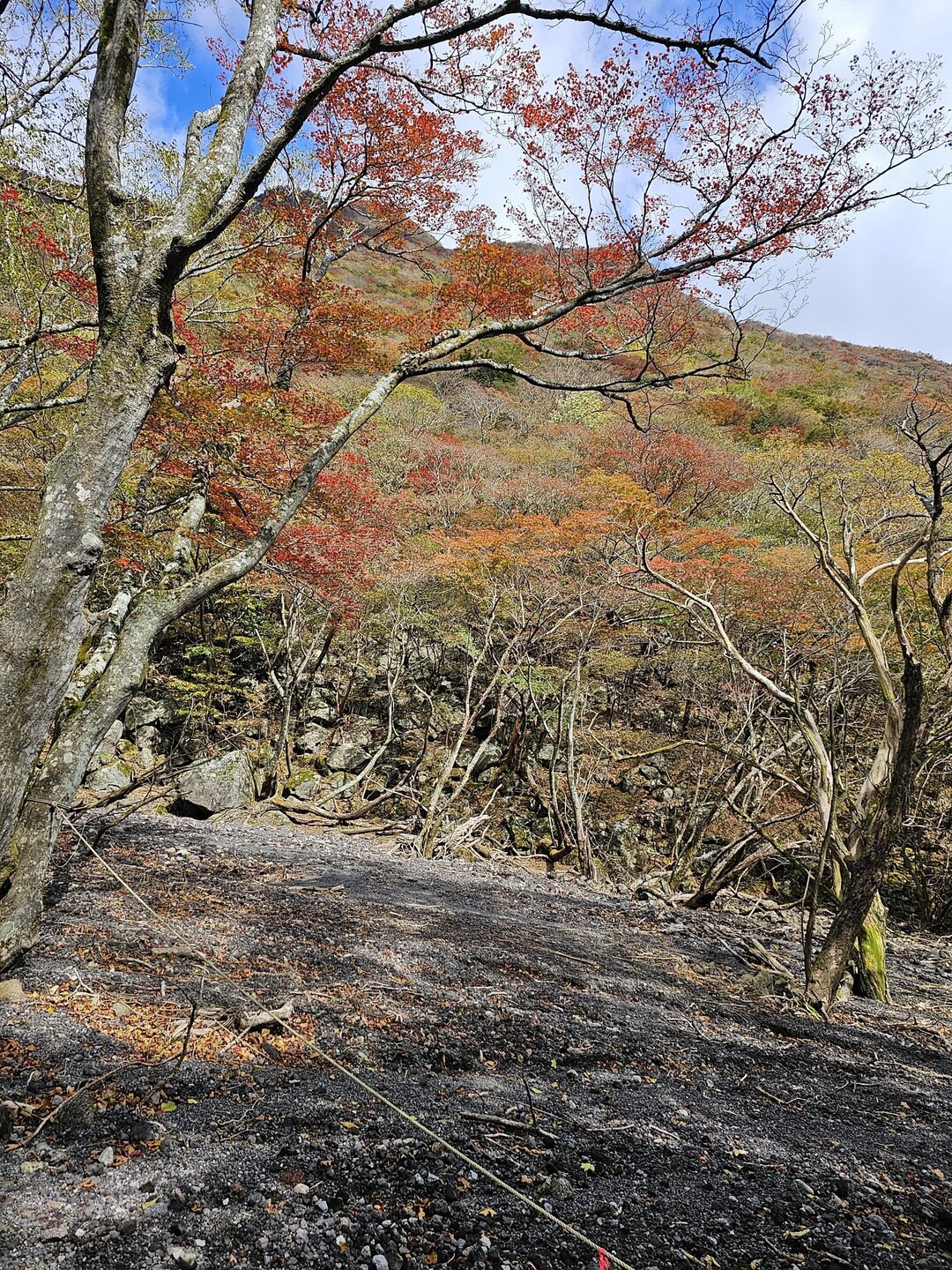 訳あって風穴まででした😆 / sayoさんの九重山（久住山）・大船山・星生山の活動データ | YAMAP / ヤマップ