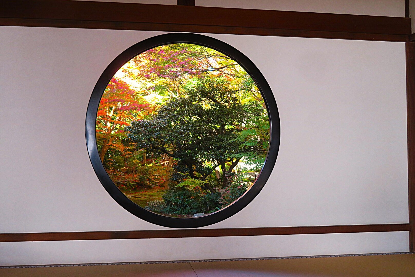 京都洛北紅葉の賀茂川を川上に歩く / terryさんの京都一周トレイルの活動データ | YAMAP / ヤマップ