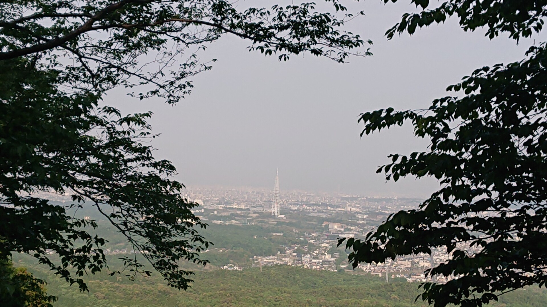 Minoruさんの投稿したフィールドメモ | YAMAP / ヤマップ