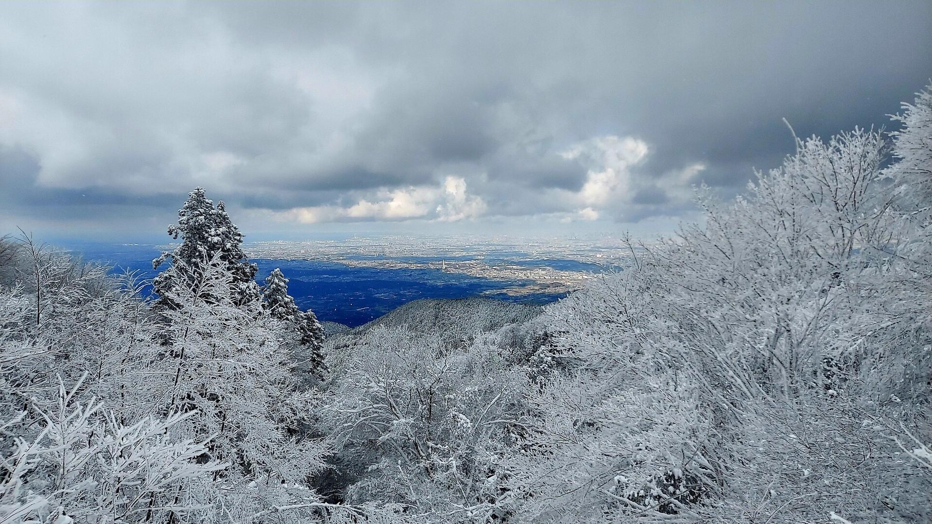 金剛山 / BOSSさんの金剛山・二上山・大和葛城山の活動データ | YAMAP / ヤマップ
