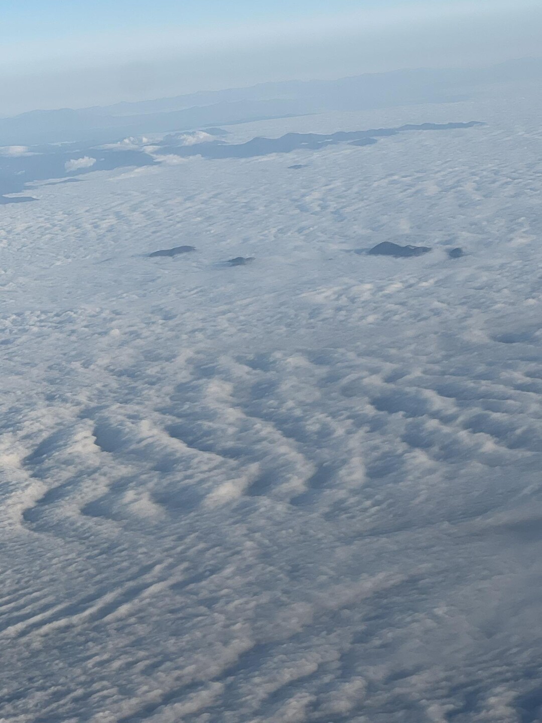 一年振りの推し活。 一枚目、島のように浮... / tontonさんのモーメント | YAMAP / ヤマップ
