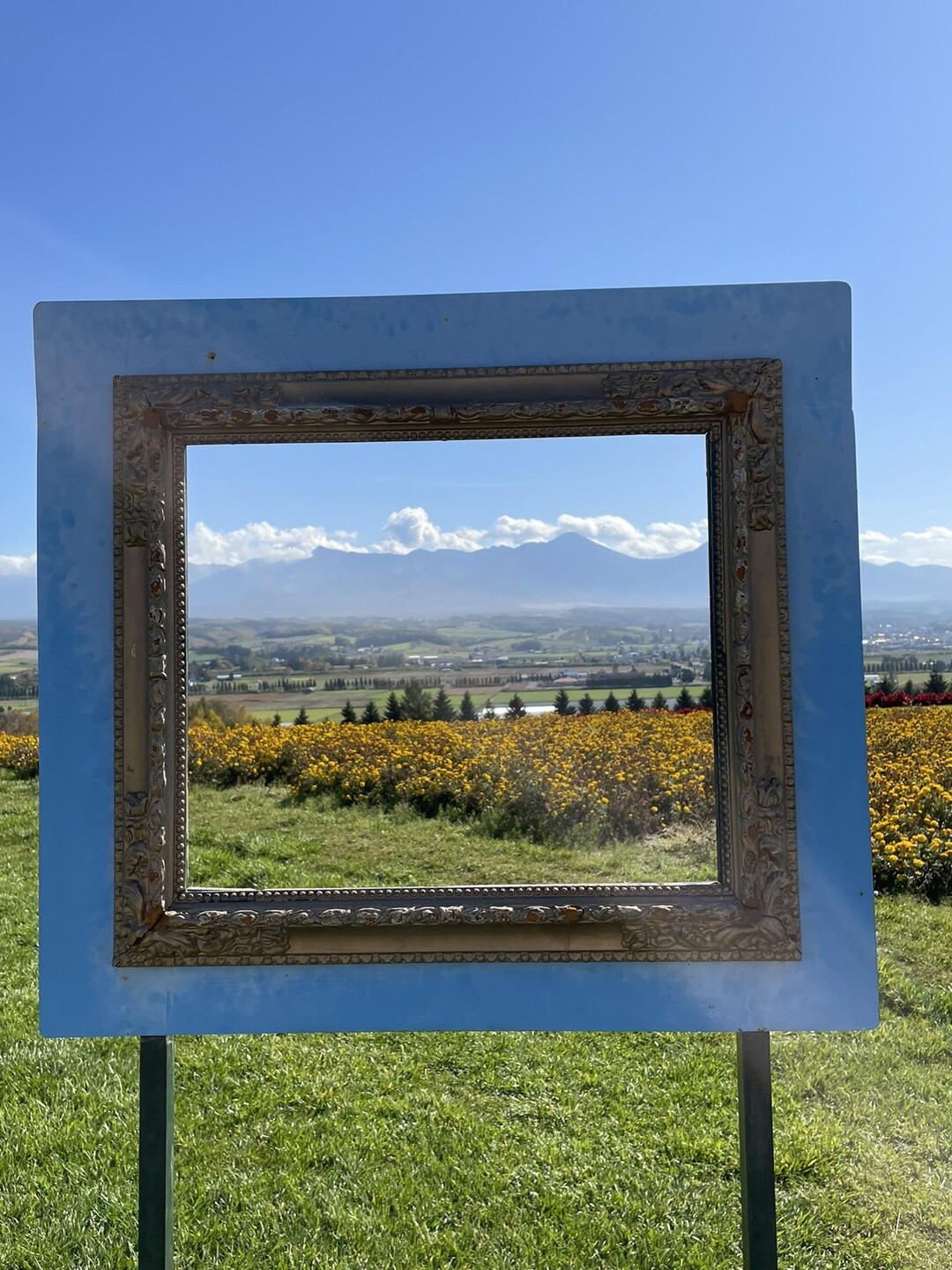 2022.10.16(日) 01:16 / ぶるさんのモーメント | YAMAP / ヤマップ