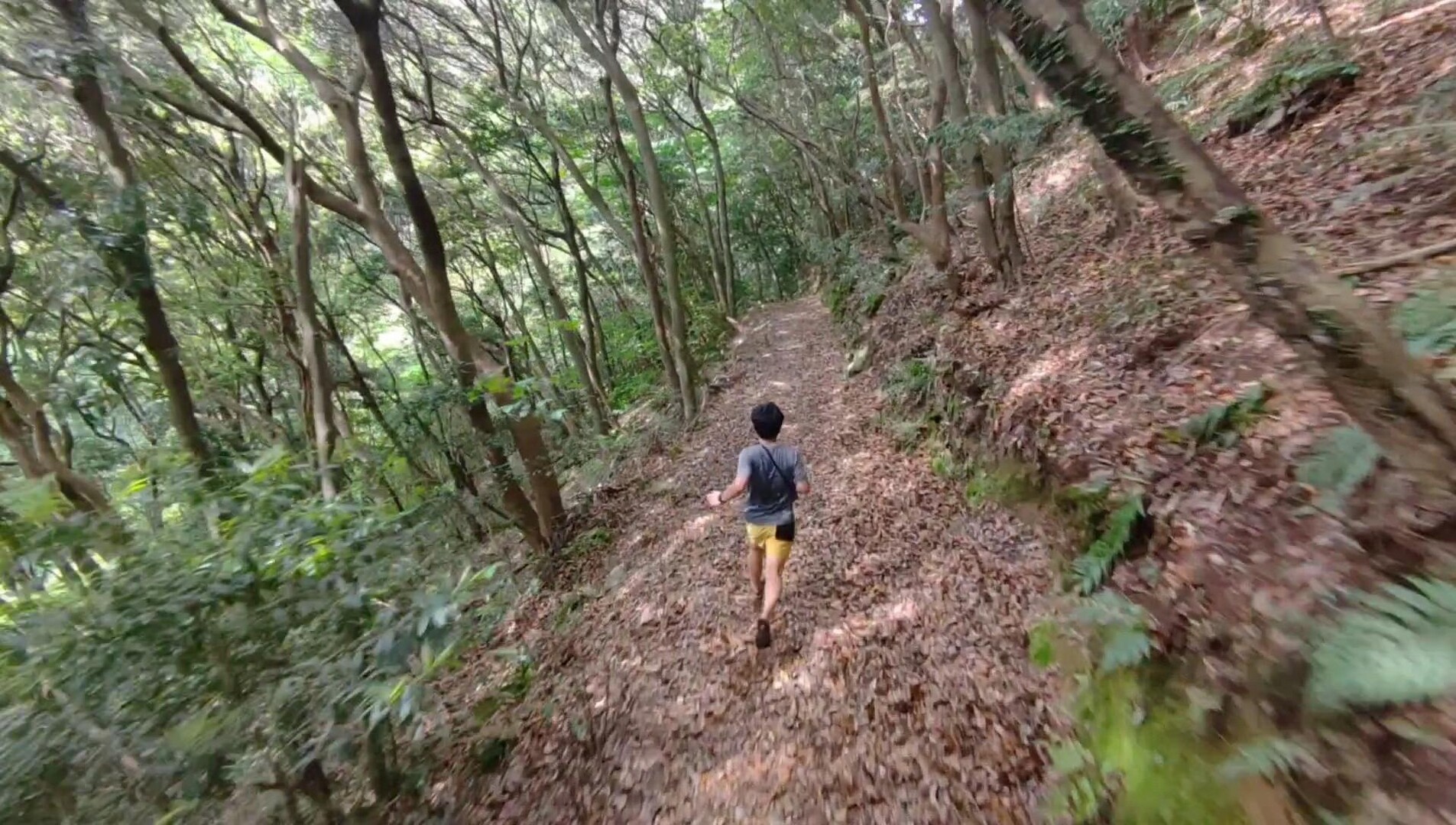 AIの進化はすざましい。 僕の走力では逃... / RYUさんのモーメント | YAMAP / ヤマップ